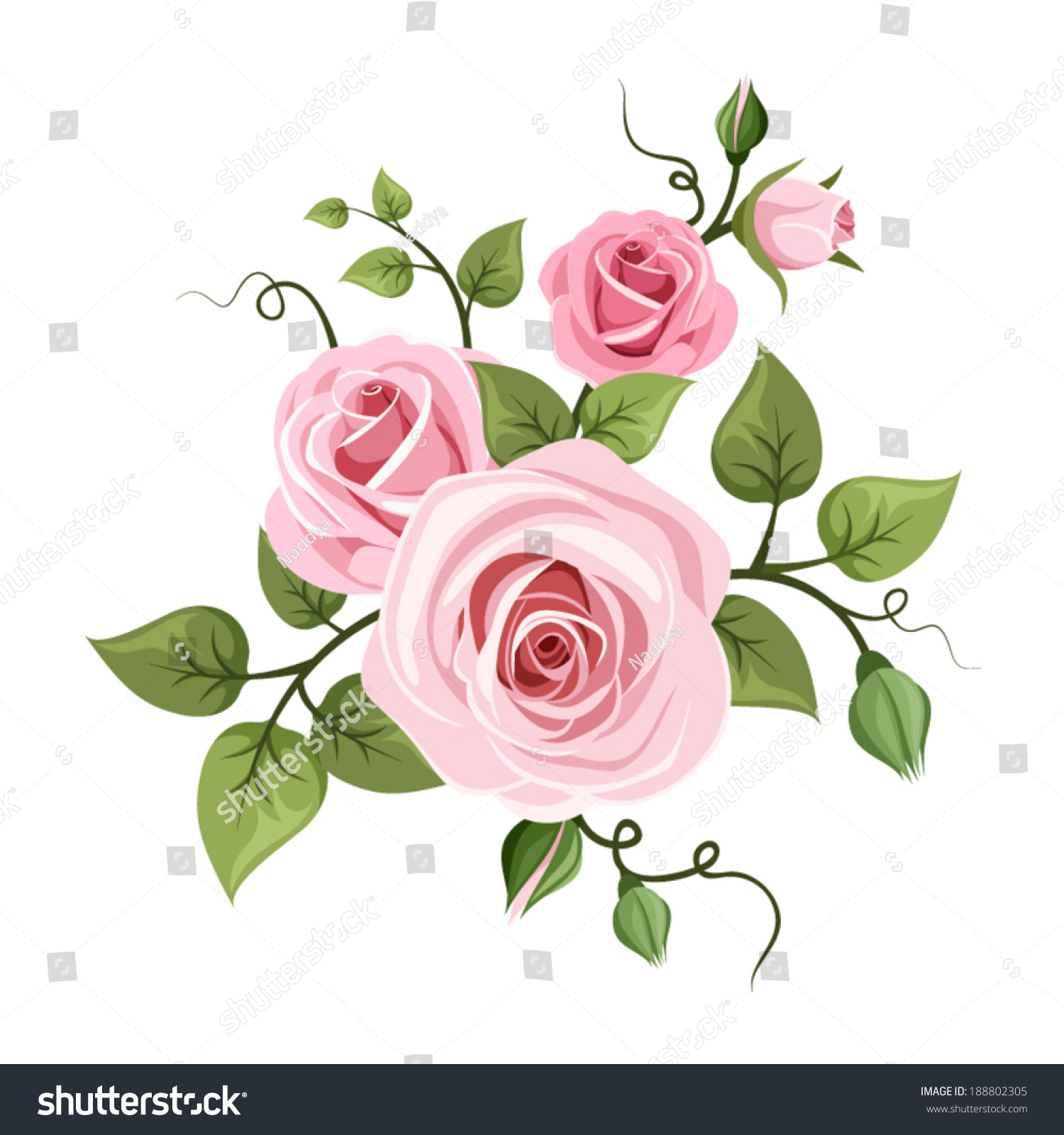 Pink Roses Vector Illustration Stock Vector (Royalty Free) 188802305 ...