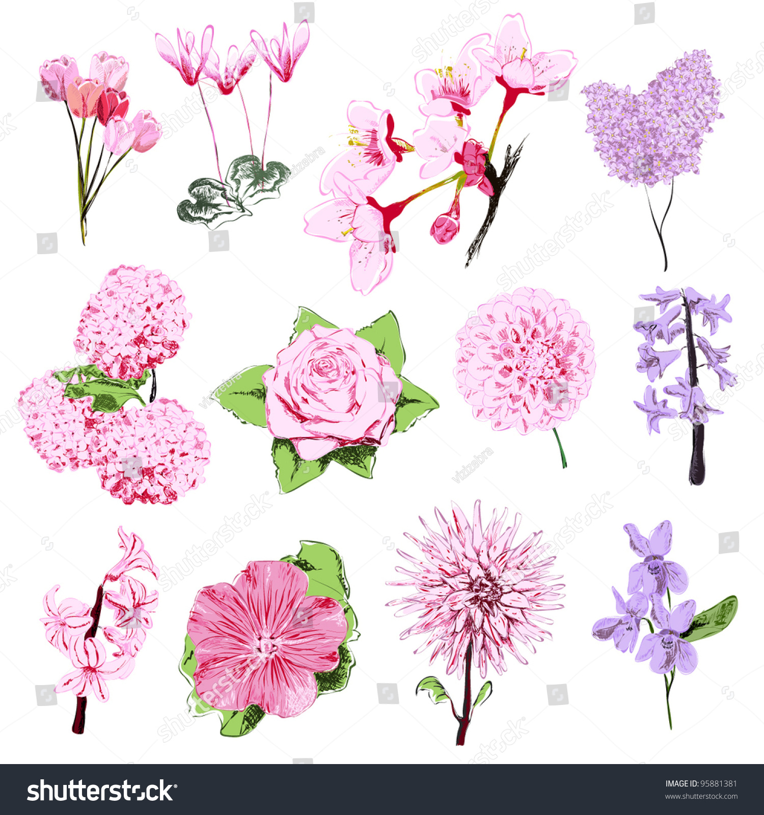 Pink Spring Flower Set Stock Vector (Royalty Free) 95881381 | Shutterstock