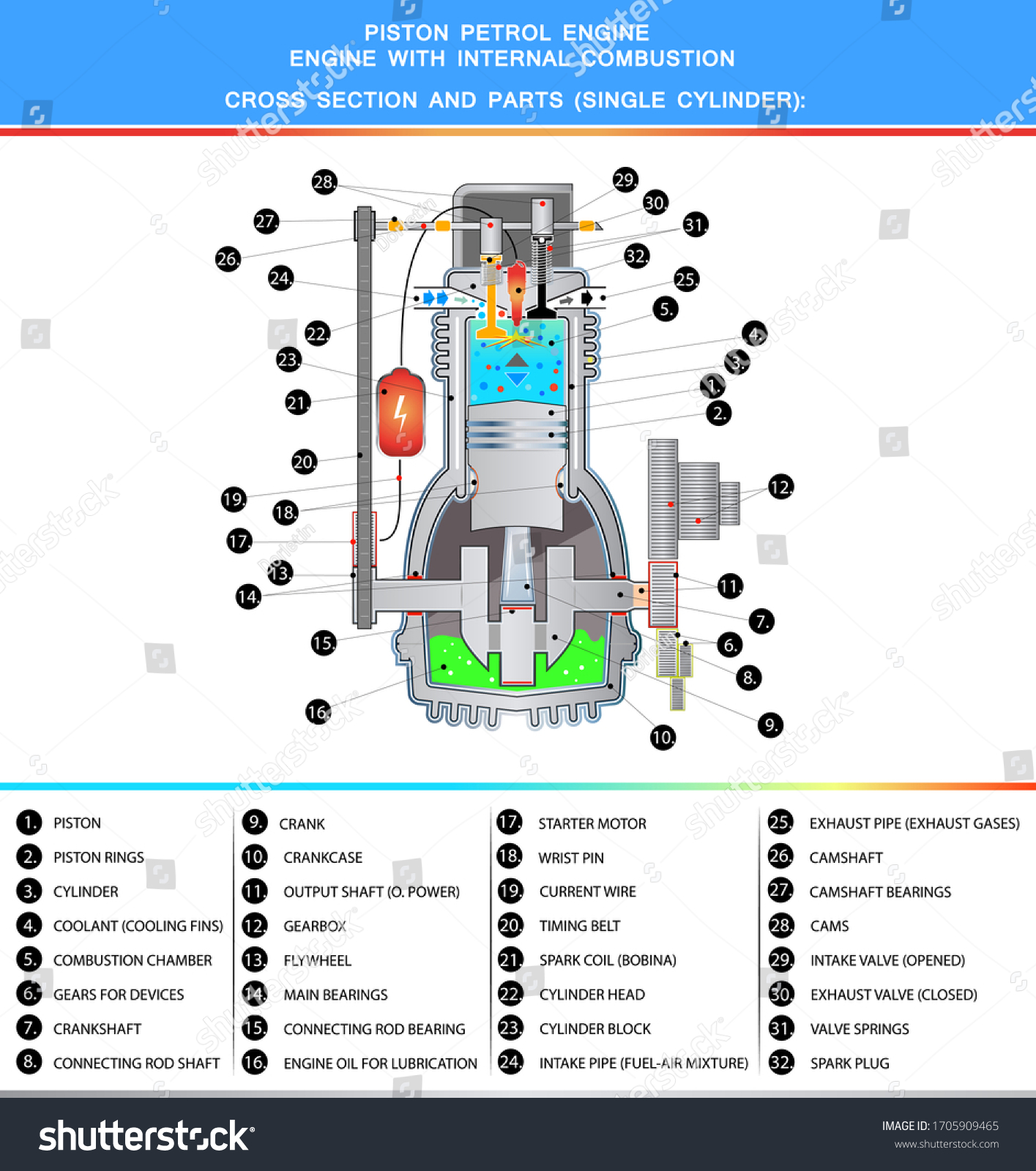 Piston Petrol Engine Structural Cross Section: เวกเตอร์สต็อก (ปลอดค่า ...