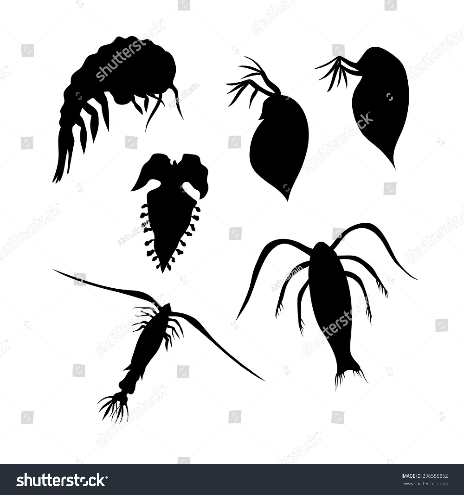 Plankton Vector Silhouettes Stock Vector (Royalty Free) 296555852