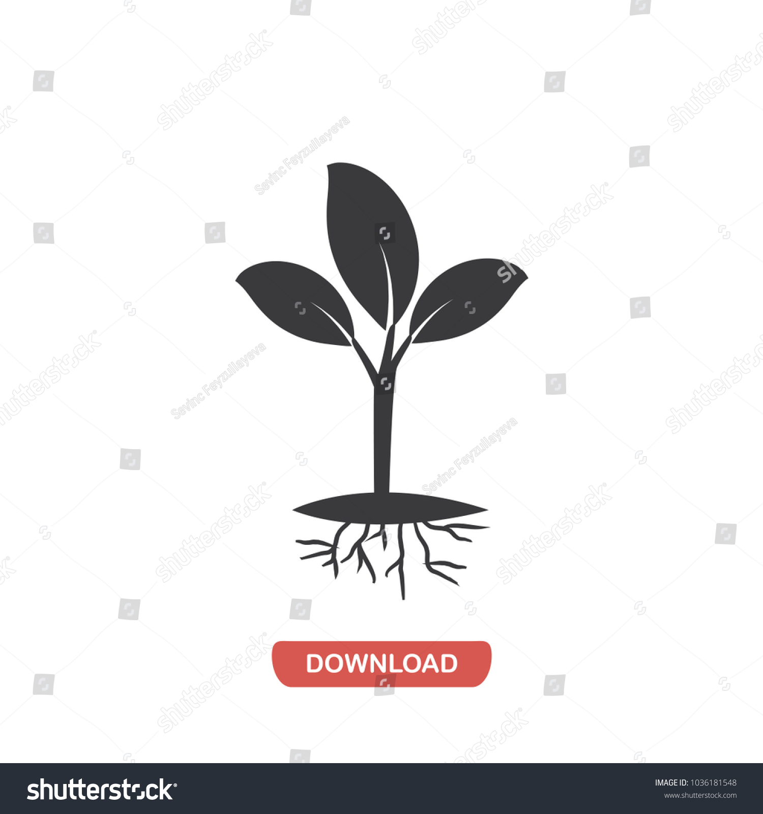 Plant Root Vector Icon Stock Vector (Royalty Free) 1036181548
