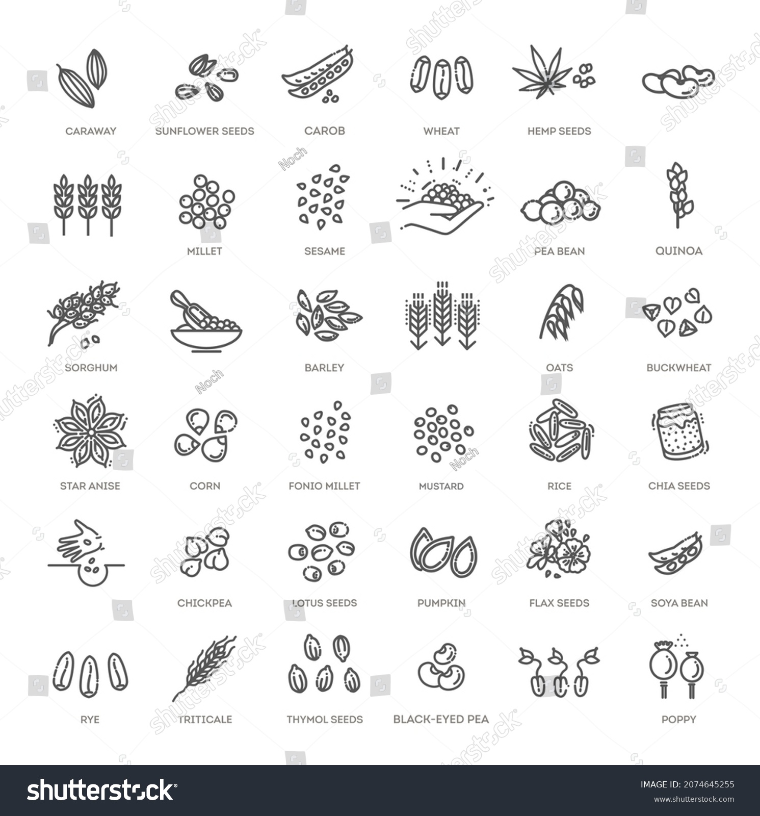 Plant Seed Vector Icon Set Stock Vector (Royalty Free) 2074645255
