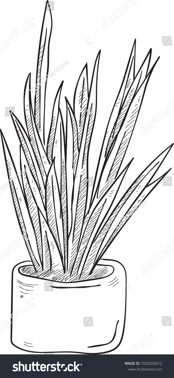 Plants Line Drawings Illustrator Vector: เวกเตอร์สต็อก (ปลอดค่า ...