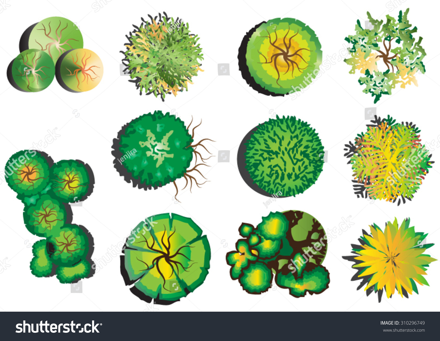 Plants Plan View