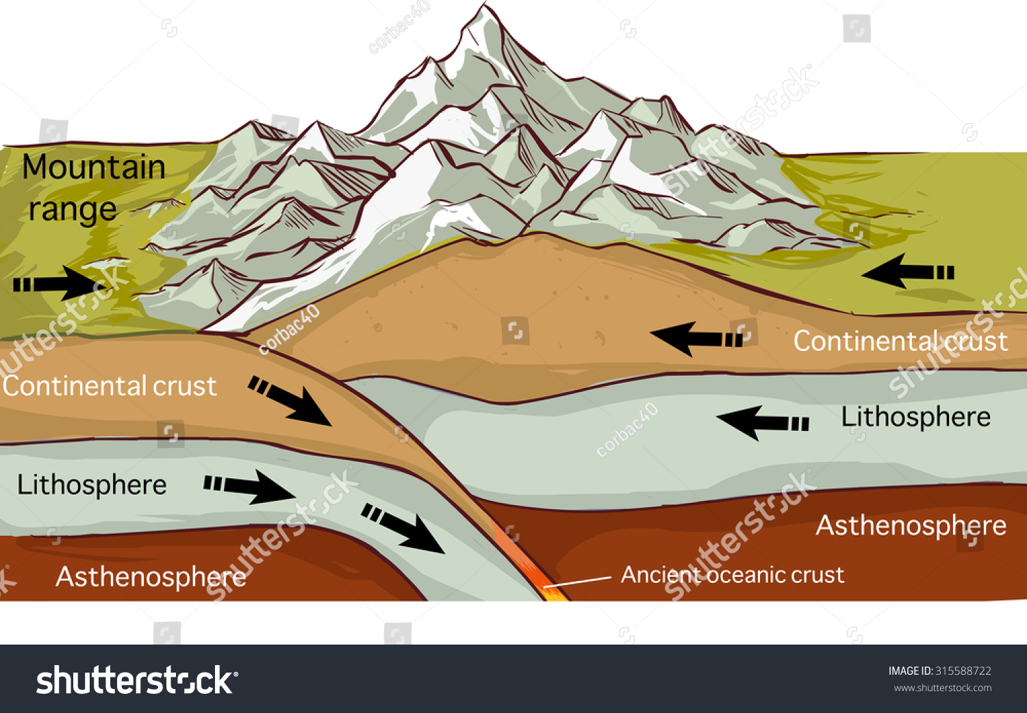 Plate Tectonics Mountain Forming Drawing Stock Vector (Royalty Free ...