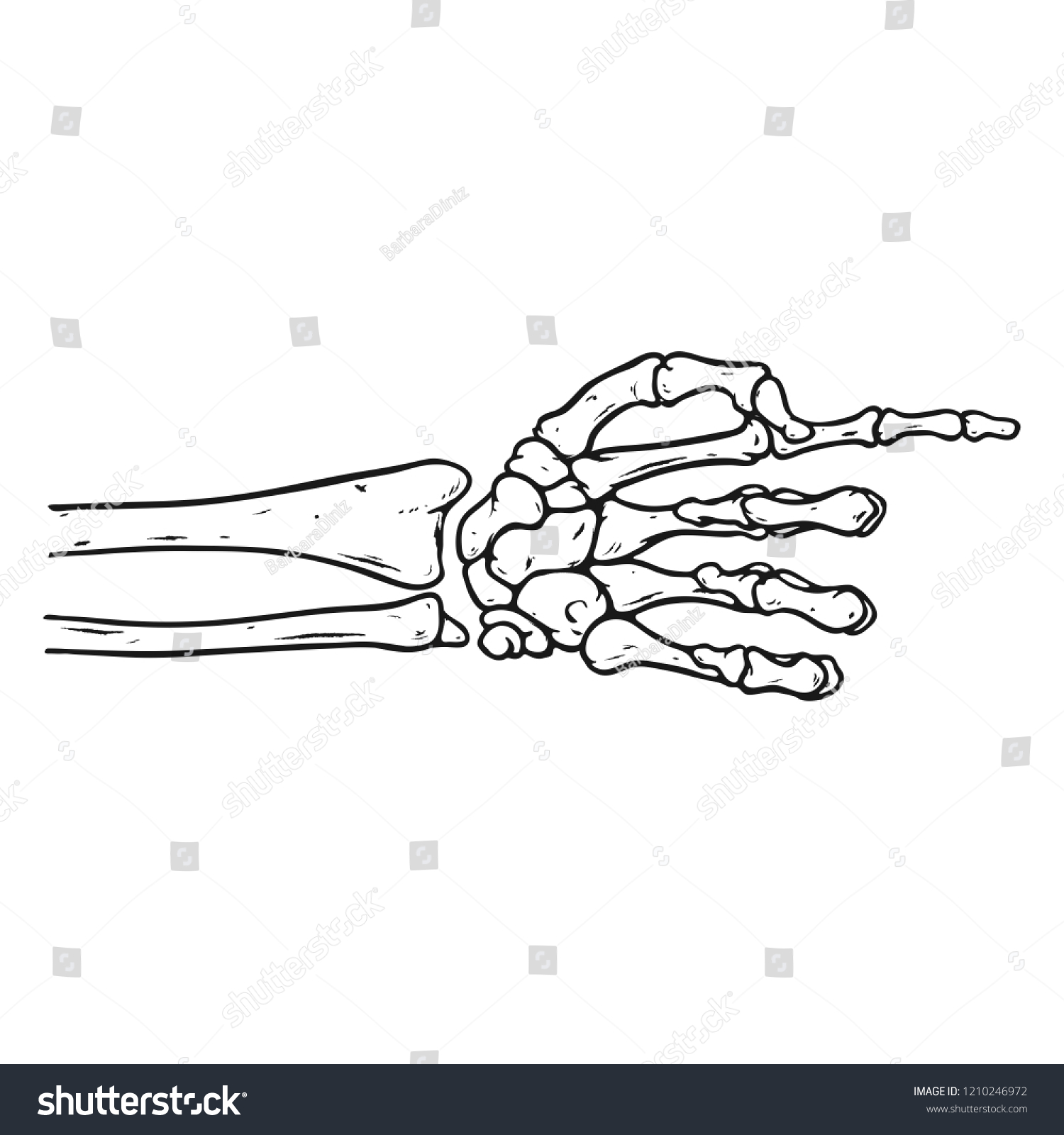 Pointing Hand Sign Skeleton Hand Vector: Vector có sẵn (miễn phí bản ...