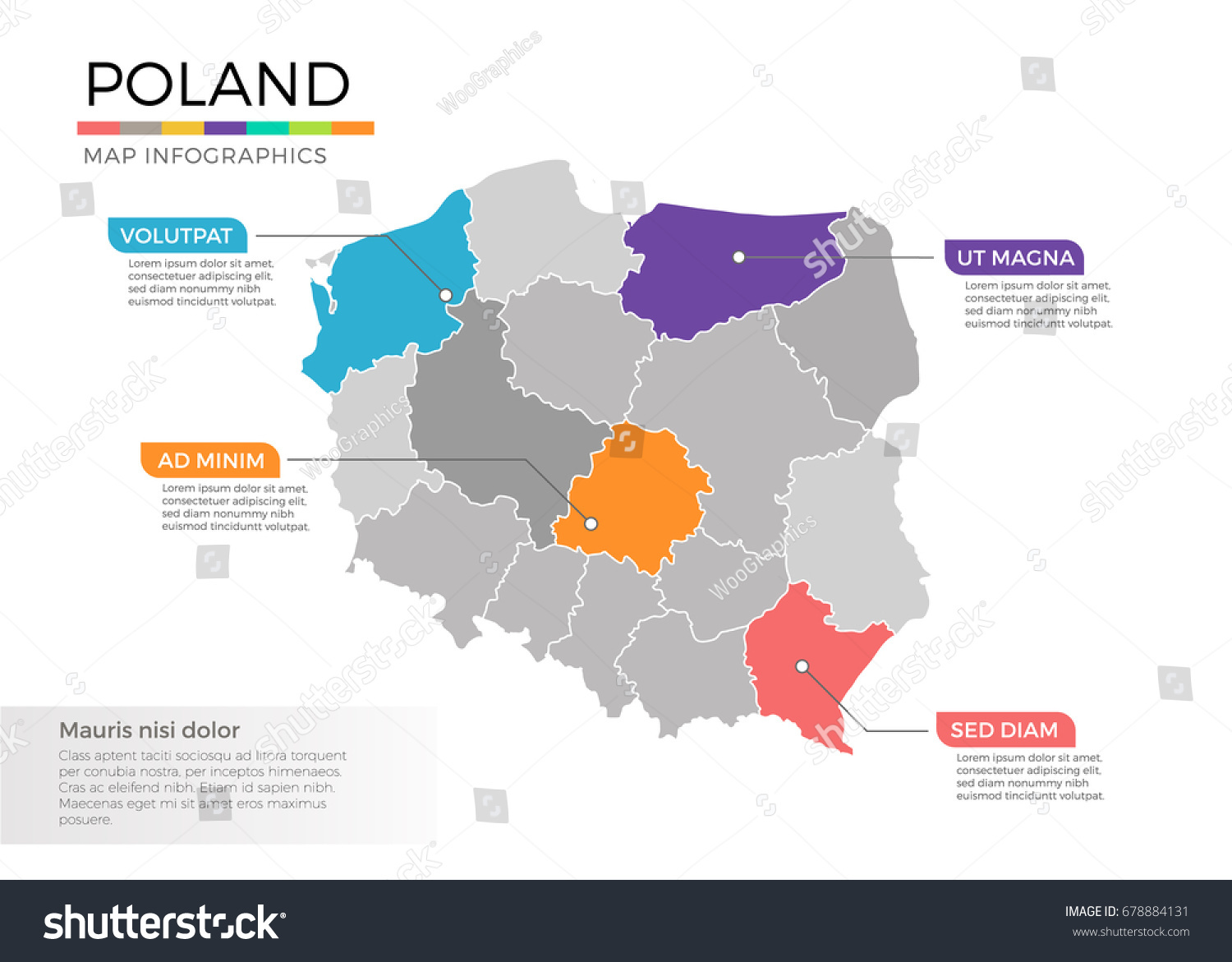 Poland Map Infographics Vector Template Regions: เวกเตอร์สต็อก (ปลอดค่า ...