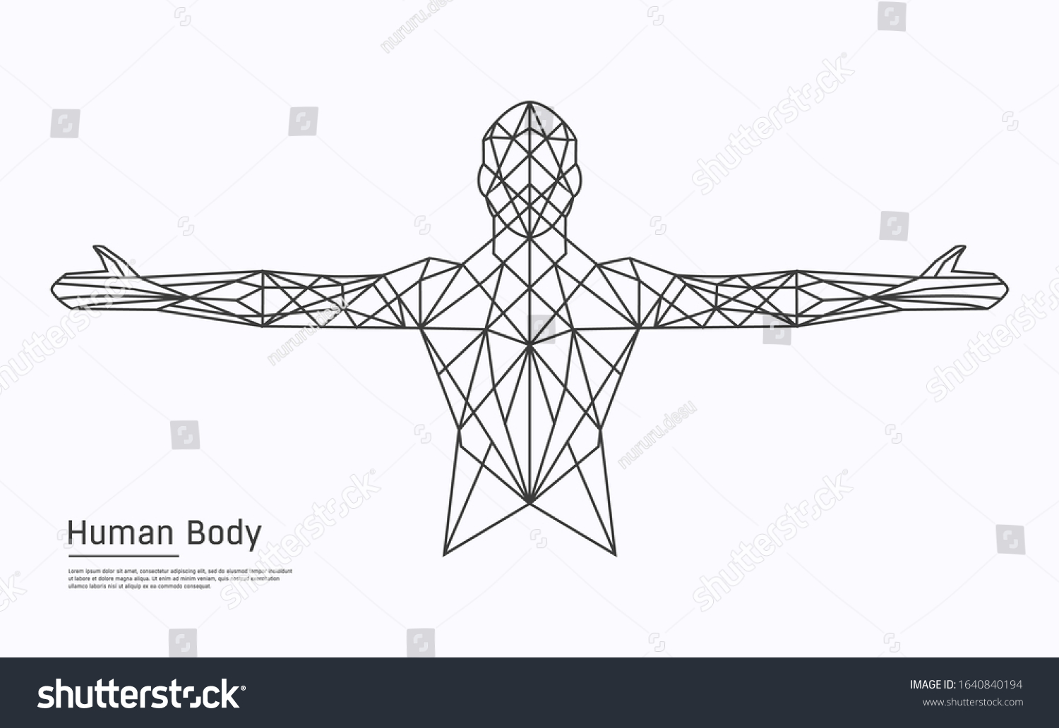 3,199 imágenes de Body 3d grid - Imágenes, fotos y vectores de stock ...