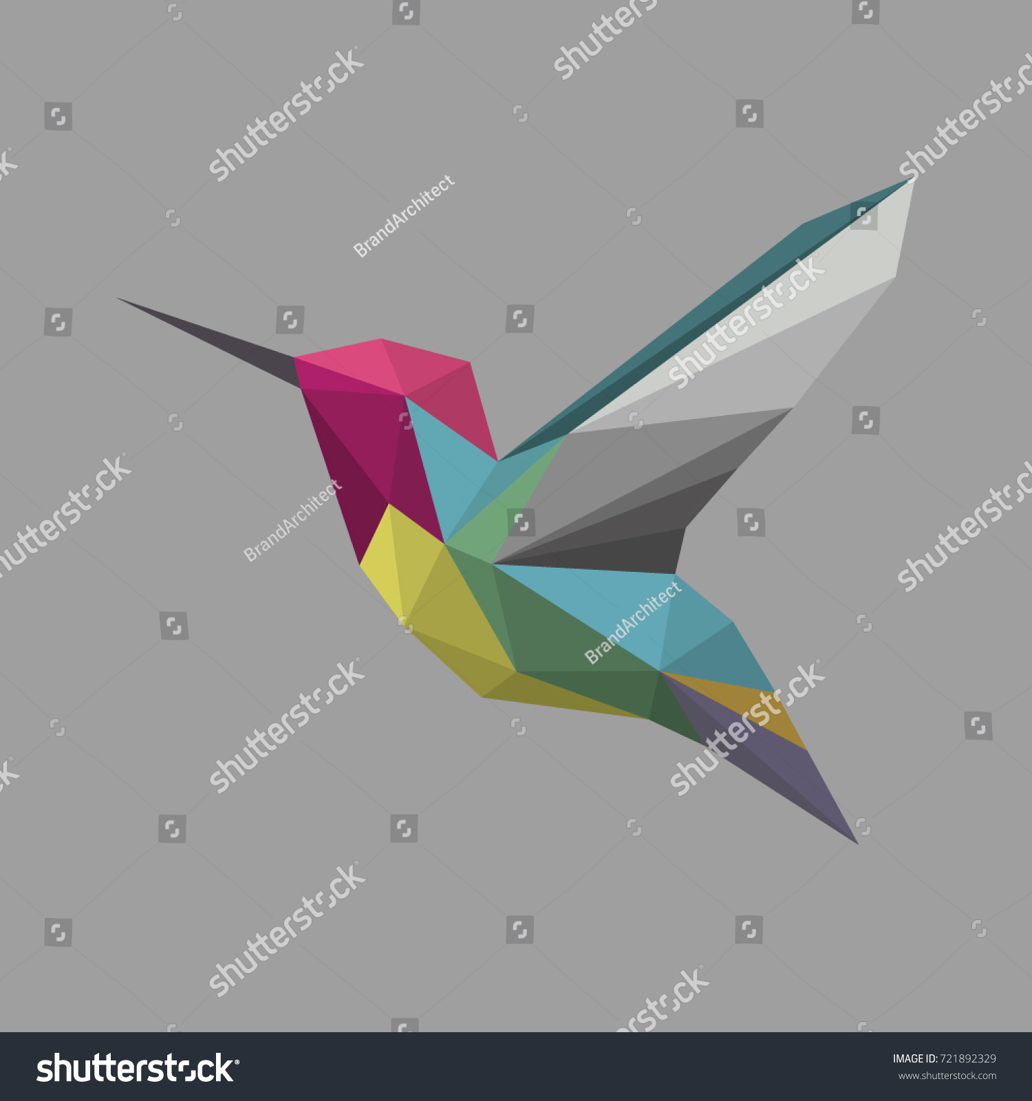 Polygonal Geometric Colibri Stock Vector (Royalty Free) 721892329