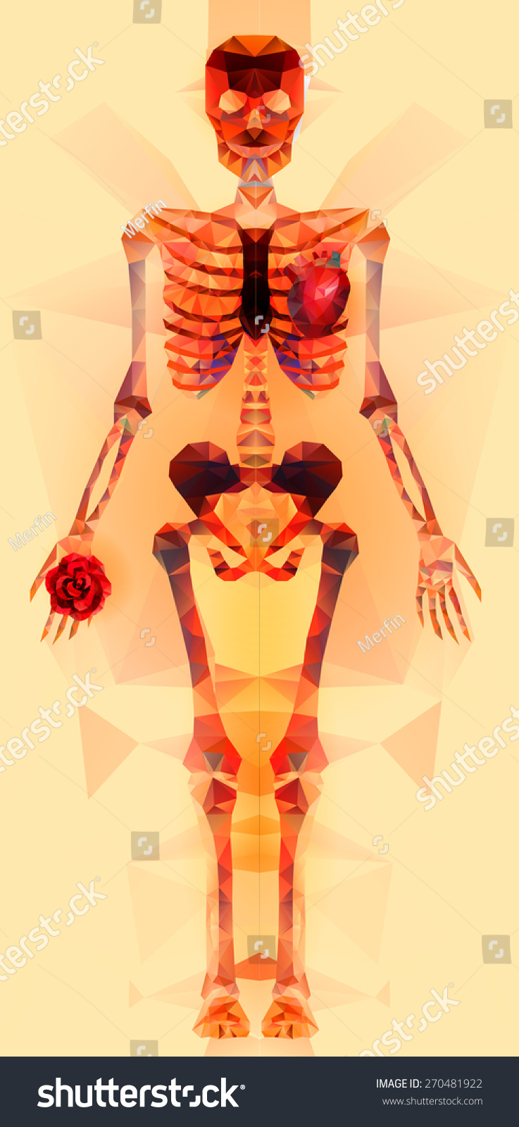 Polygonal Skeleton Low Poly Illustration Polygonal Stock Vector ...