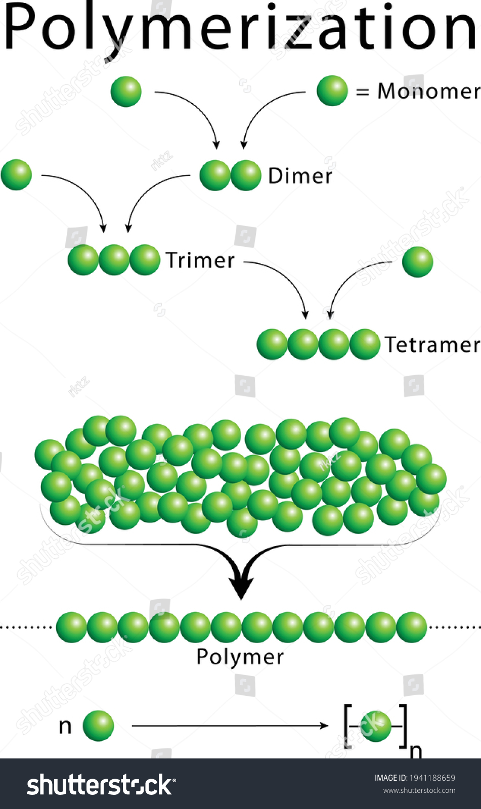 Polymerization Mechanism Polymer Units How Does: เวกเตอร์สต็อก (ปลอดค่า ...