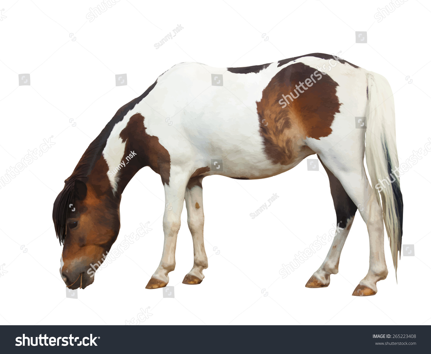Pony Isolated On White Background Stock Vector (Royalty Free) 265223408 ...