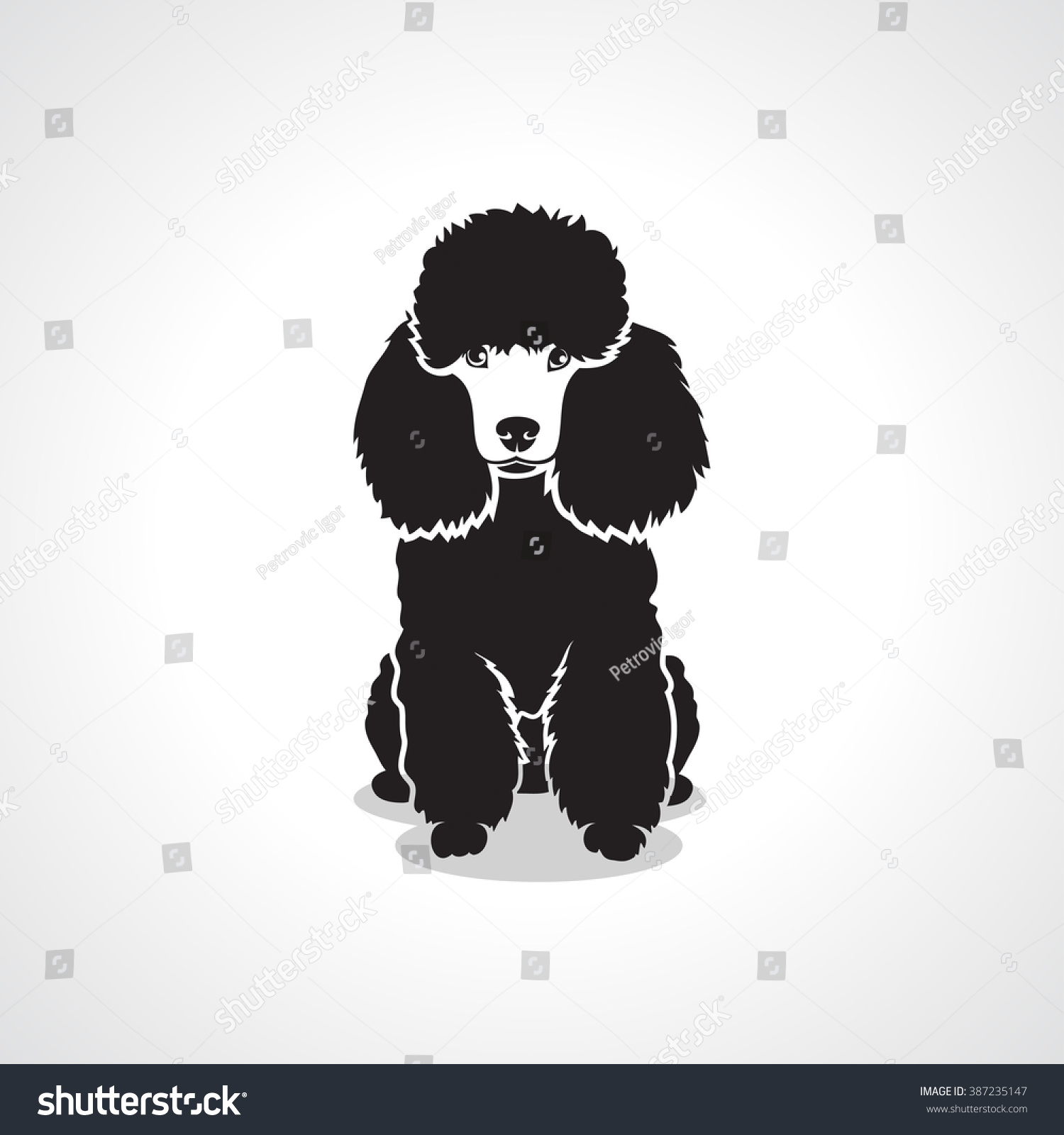 Poodle Dog Vector Illustration Stock Vector (Royalty Free) 387235147 ...