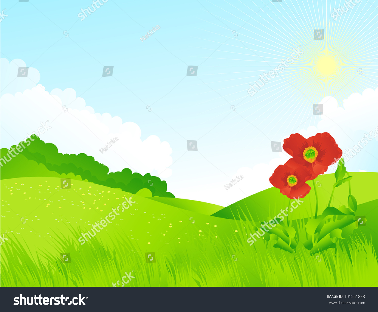 Poppy Background Stock Vector (Royalty Free) 101551888 | Shutterstock