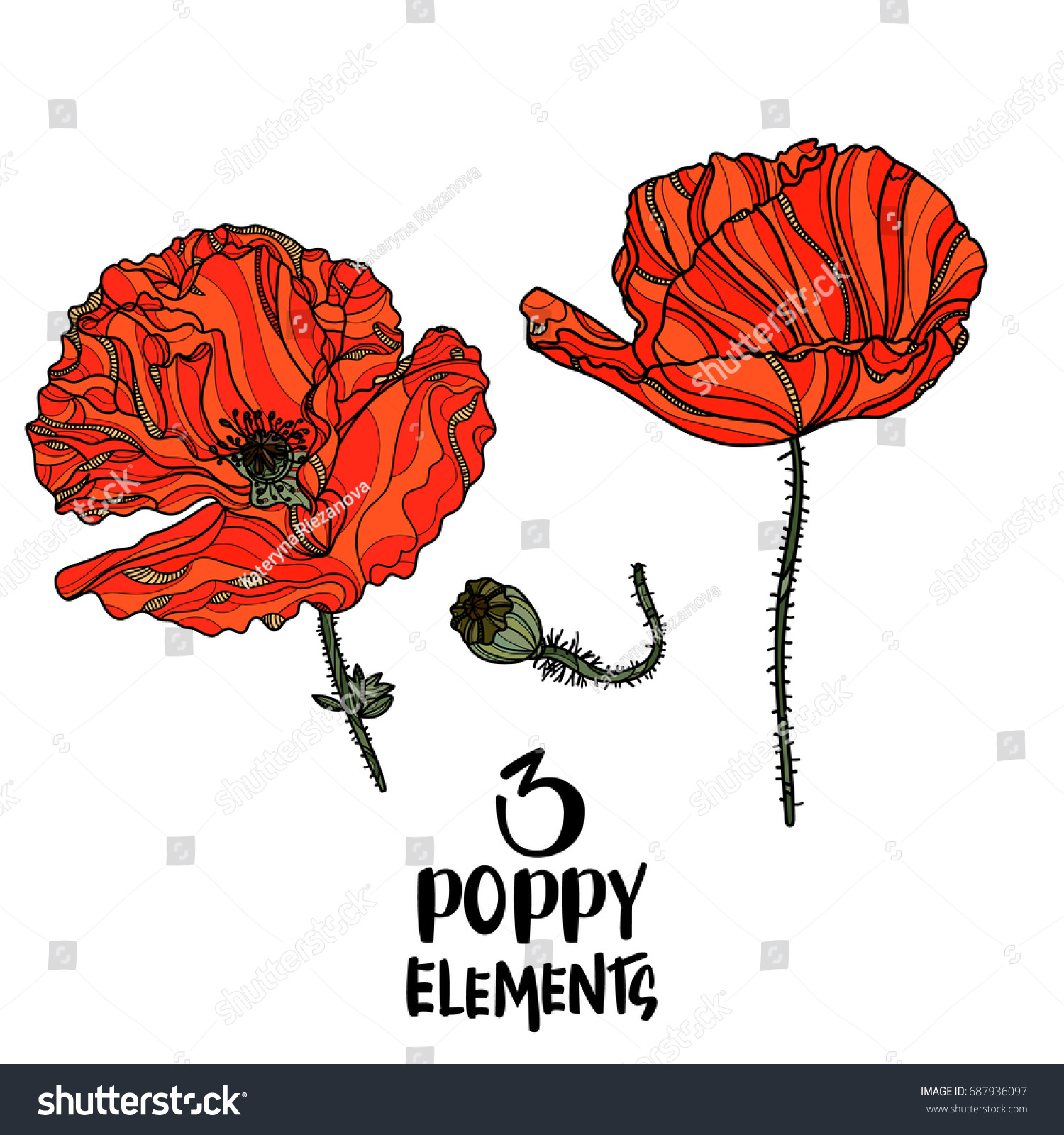Poppy Flowers Elements On Transparent Background Stock Vector (Royalty ...