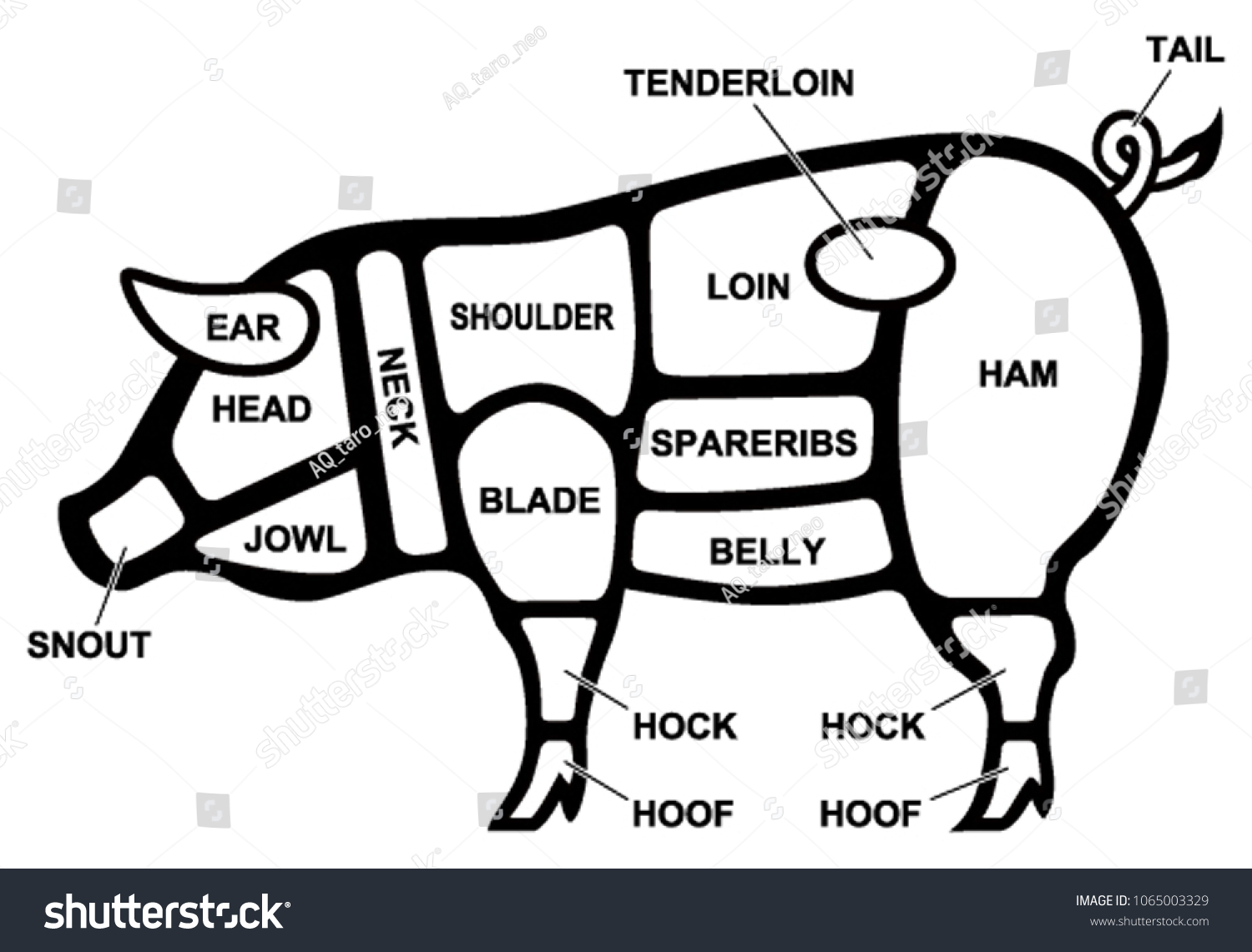 Pork Cuts Diagram Stock Vector (Royalty Free) 1065003329 | Shutterstock