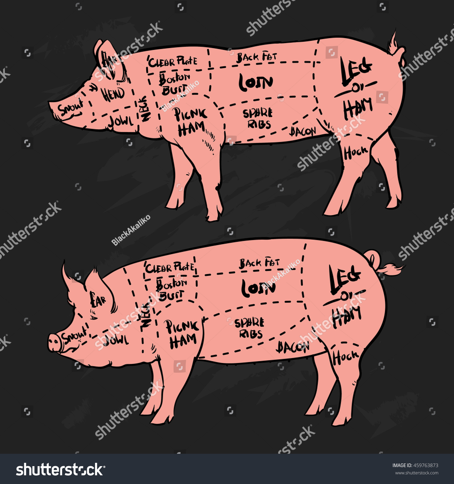 Pork Cuts Diagram Butchery Set Hand: vector de stock (libre de regalías ... Pork Cuts Diagram Butchery Set Hand: vector de stock (libre de regalías ...