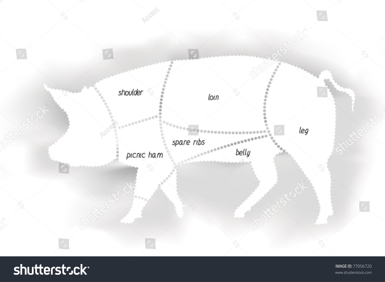 Pork Meat Diagram Stock Vector (Royalty Free) 77056720 | Shutterstock