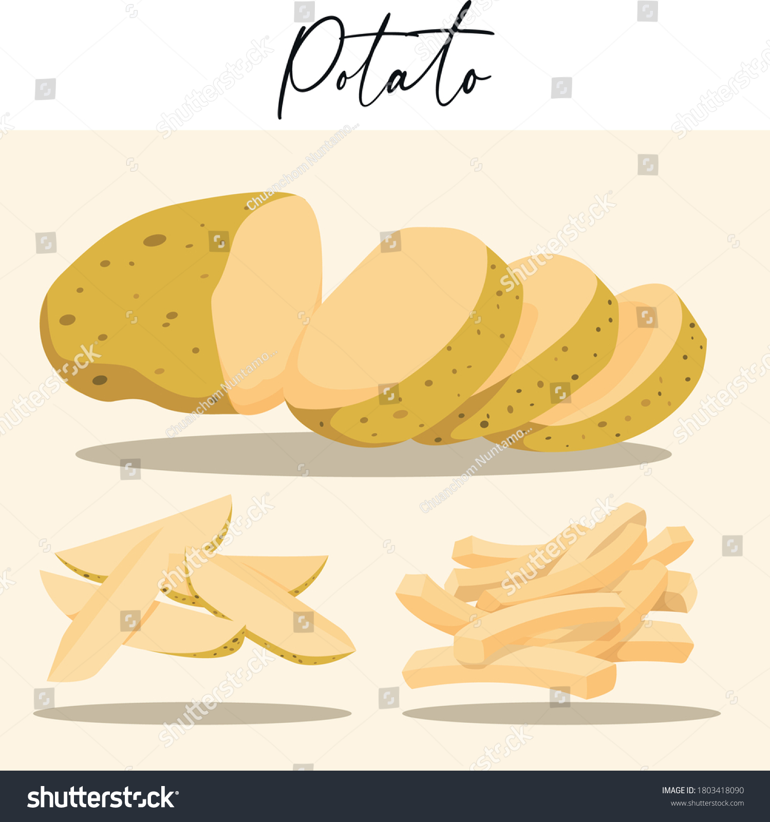 Potato Cut Slice Vector Isolated Stock Vector (Royalty Free) 1803418090