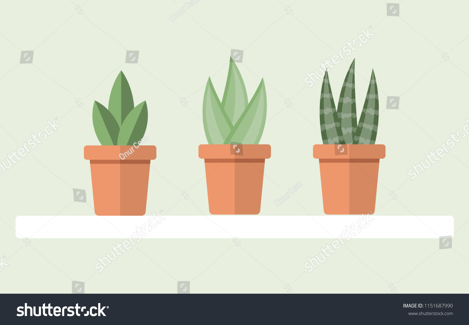 Potted Plant Vector Set 스톡 벡터(로열티 프리) 1151687990 | Shutterstock