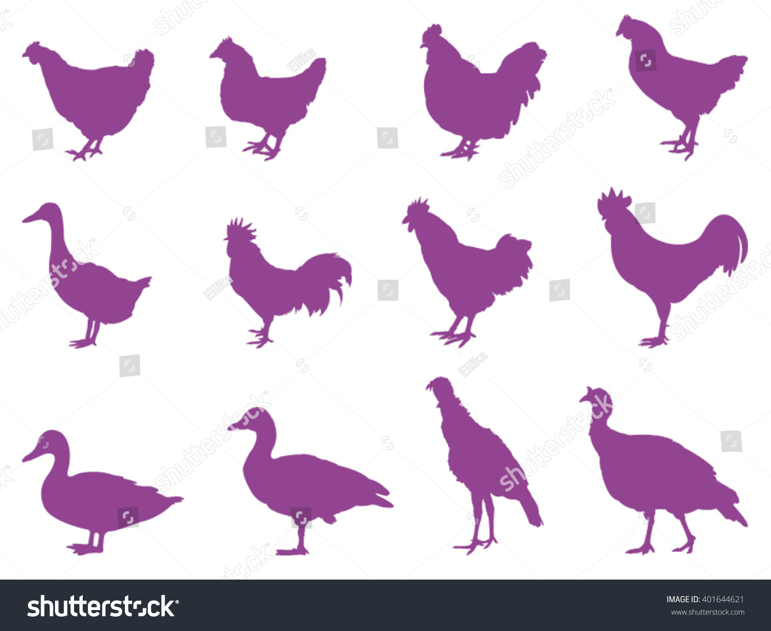 Poultry Silhouette Vector Illustration Stock Vector (Royalty Free ...