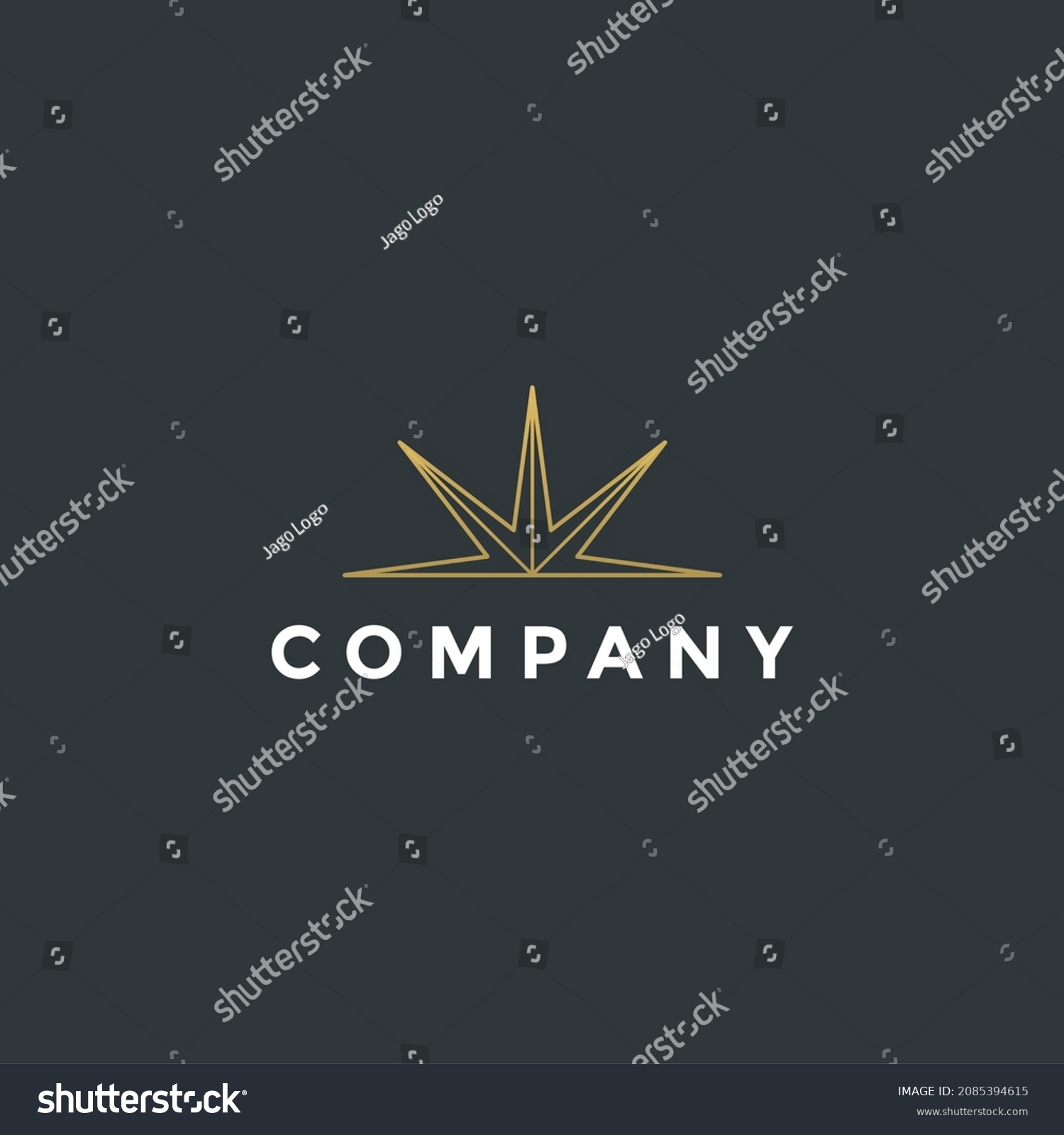 Premium Logo Modern Vector Graphic Stock Vector (Royalty Free ...