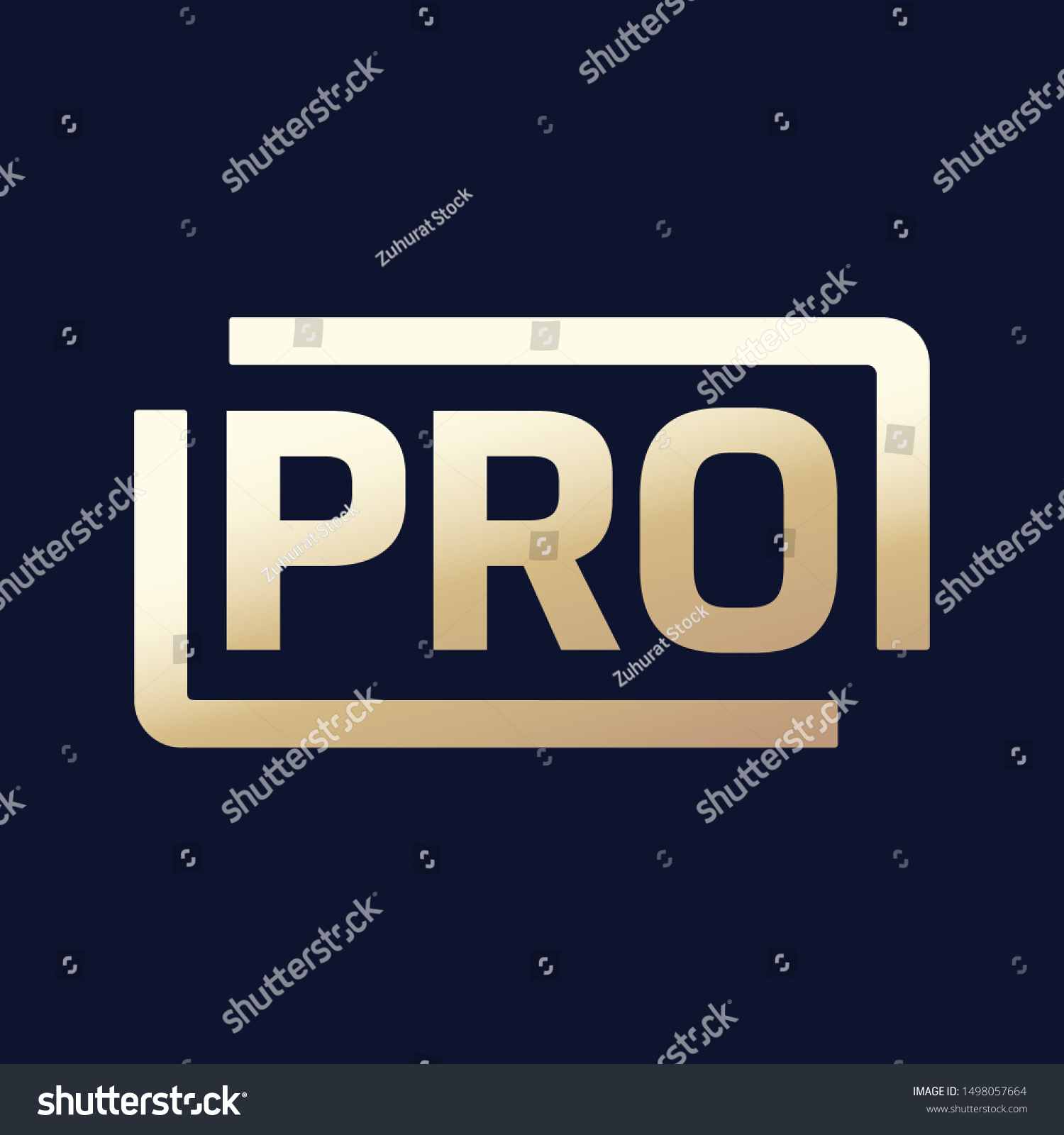 Pro Professionan Golden Logo Design Stock Vector (Royalty Free) 1498057664