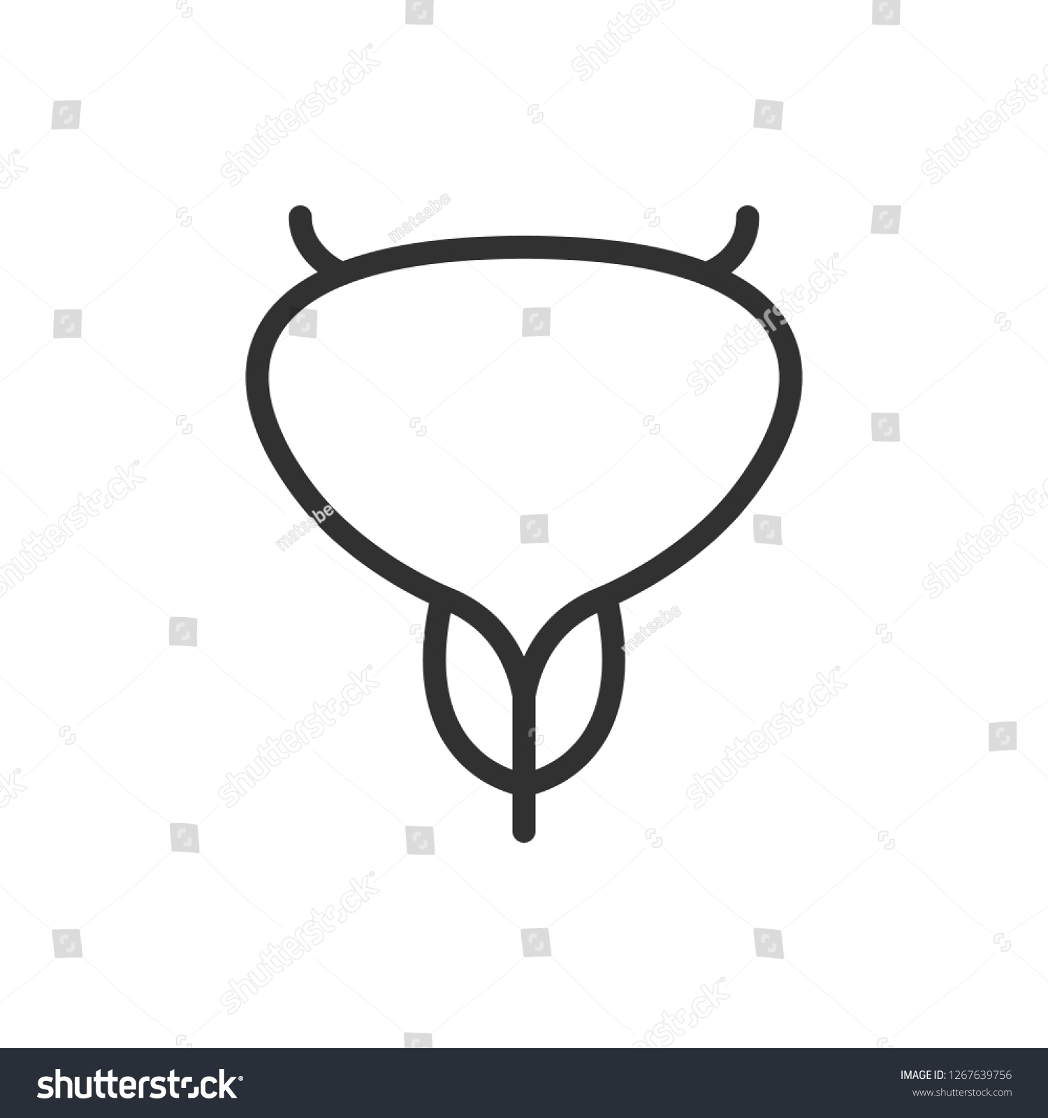Prostate Urinary Bladder Linear Icon Line: vetor stock (livre de ...
