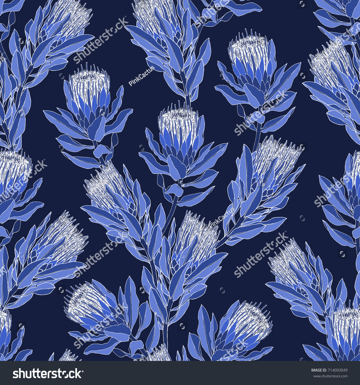 Protea Flower Vector Illustration Blue White Stock Vector (Royalty Free ...
