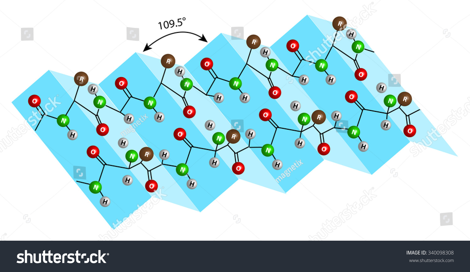 94 Beta sheet Stock Vectors, Images & Vector Art | Shutterstock