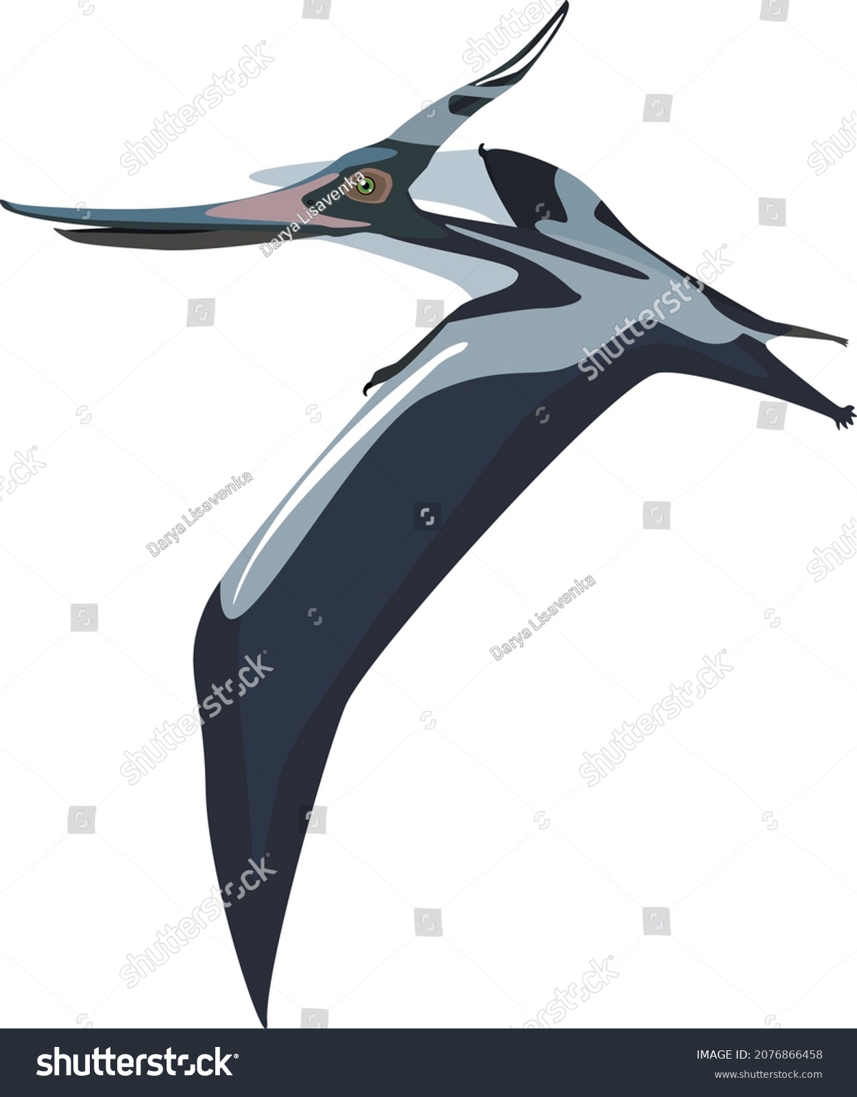 Pteranodon Flying Dinosaur Vector Illustration Stock Vector (Royalty ...