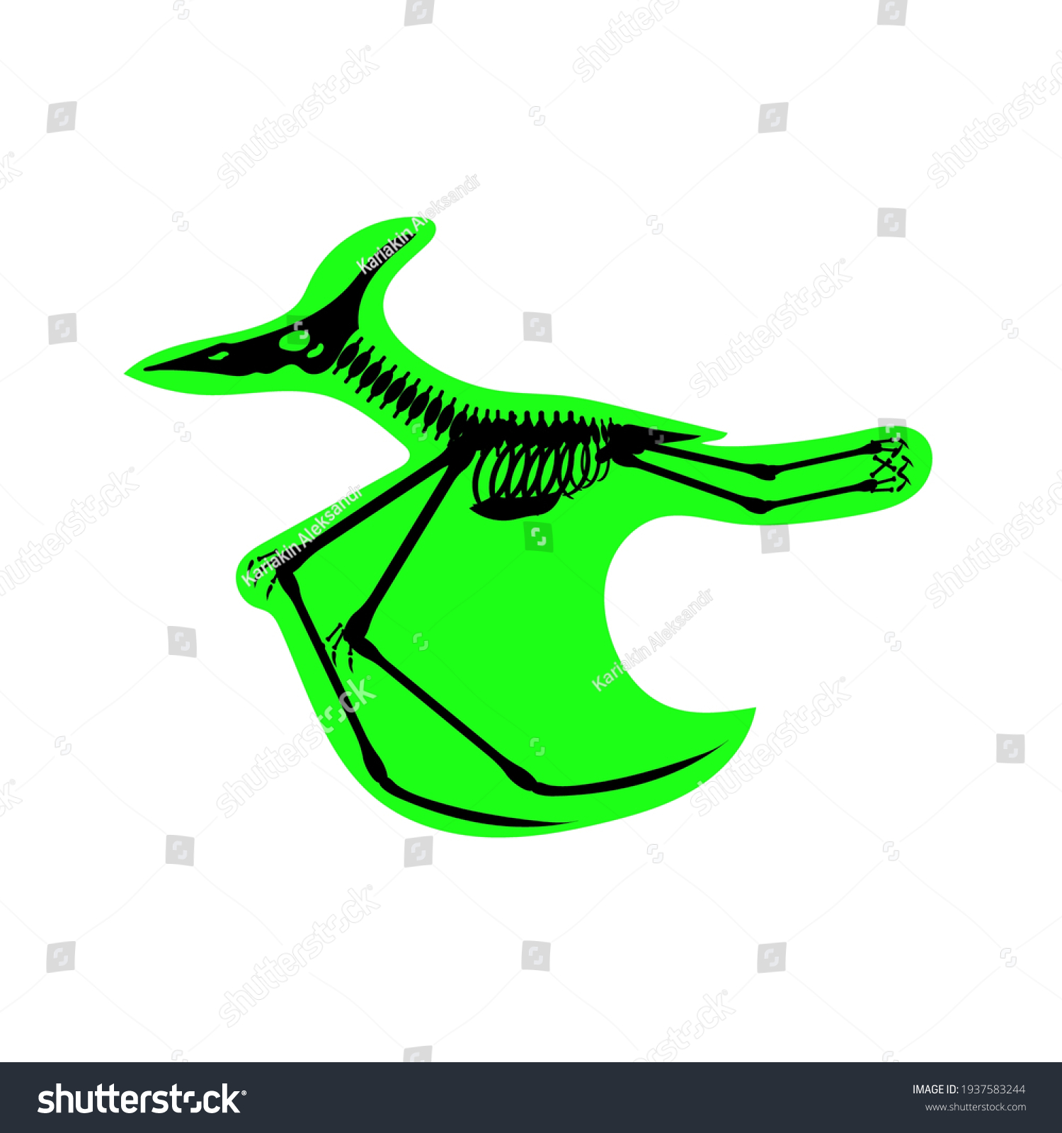 Pterodactyl Dinosaur Skeleton Vector Illustration Stock Vector (Royalty ...