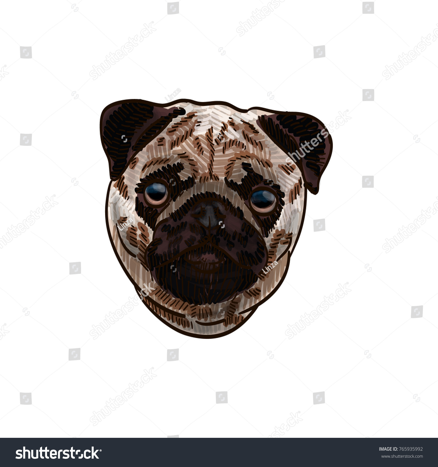 Pug Vector Drawing Illustration Stock Vector (Royalty Free) 765935992 ...
