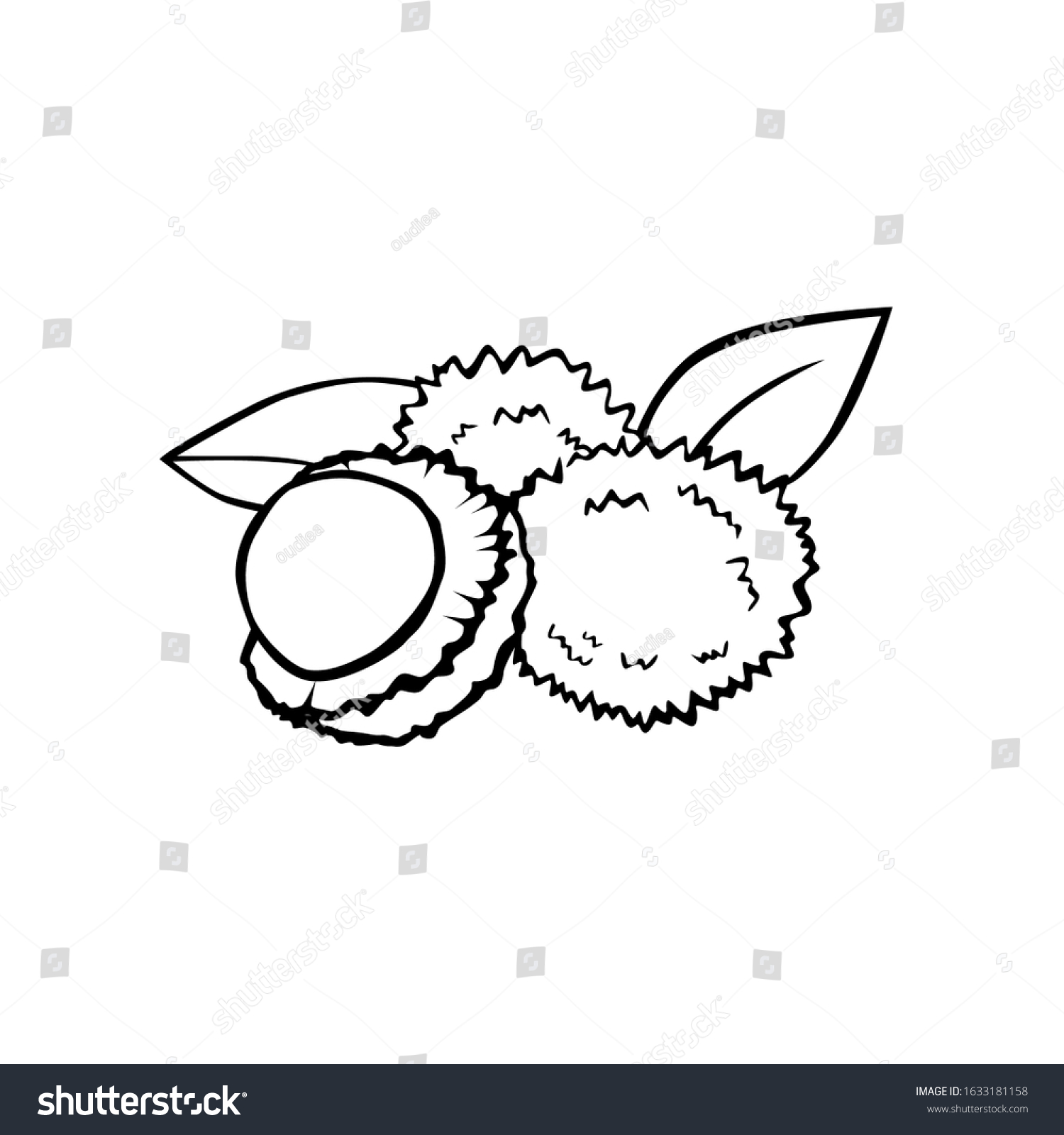 Pulasan Black White Vector All Purpose Stock Vector (Royalty Free ...