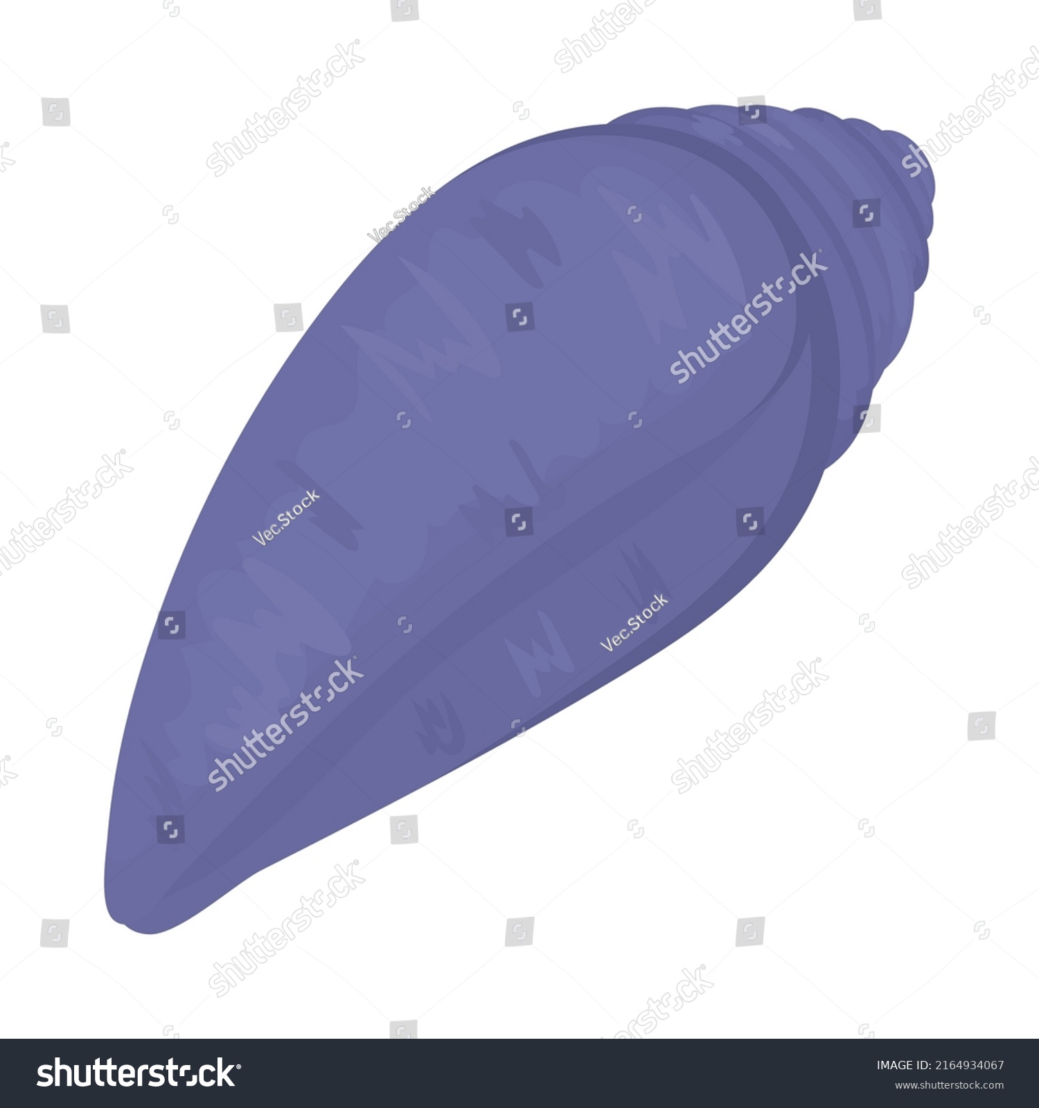 Purple Cone Shell On White Background Stock Vector (Royalty Free ...