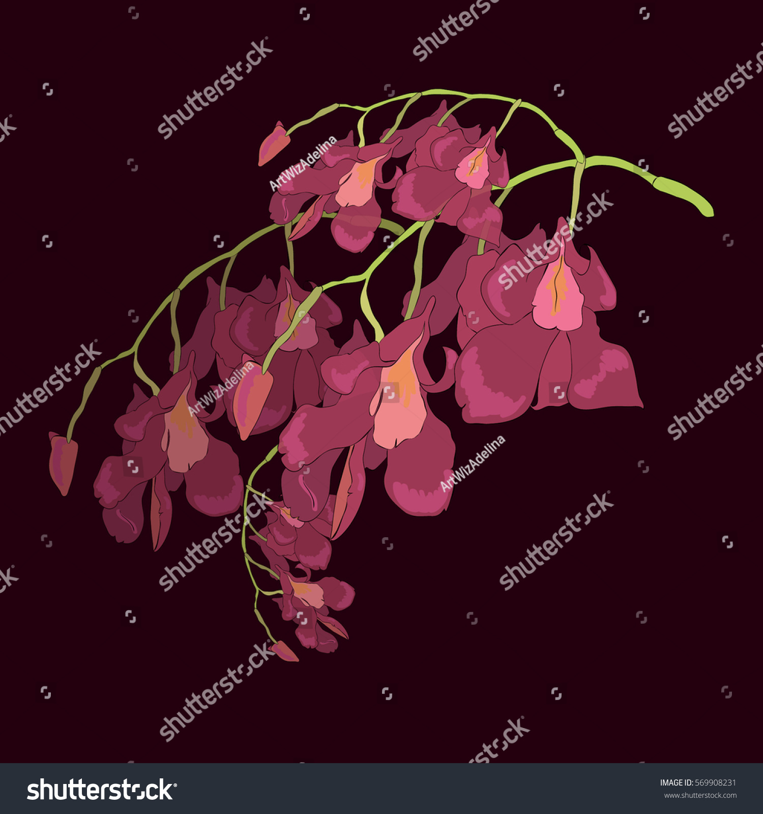 Purple Orchid Vector Illustration Stock Vector (Royalty Free) 569908231 ...