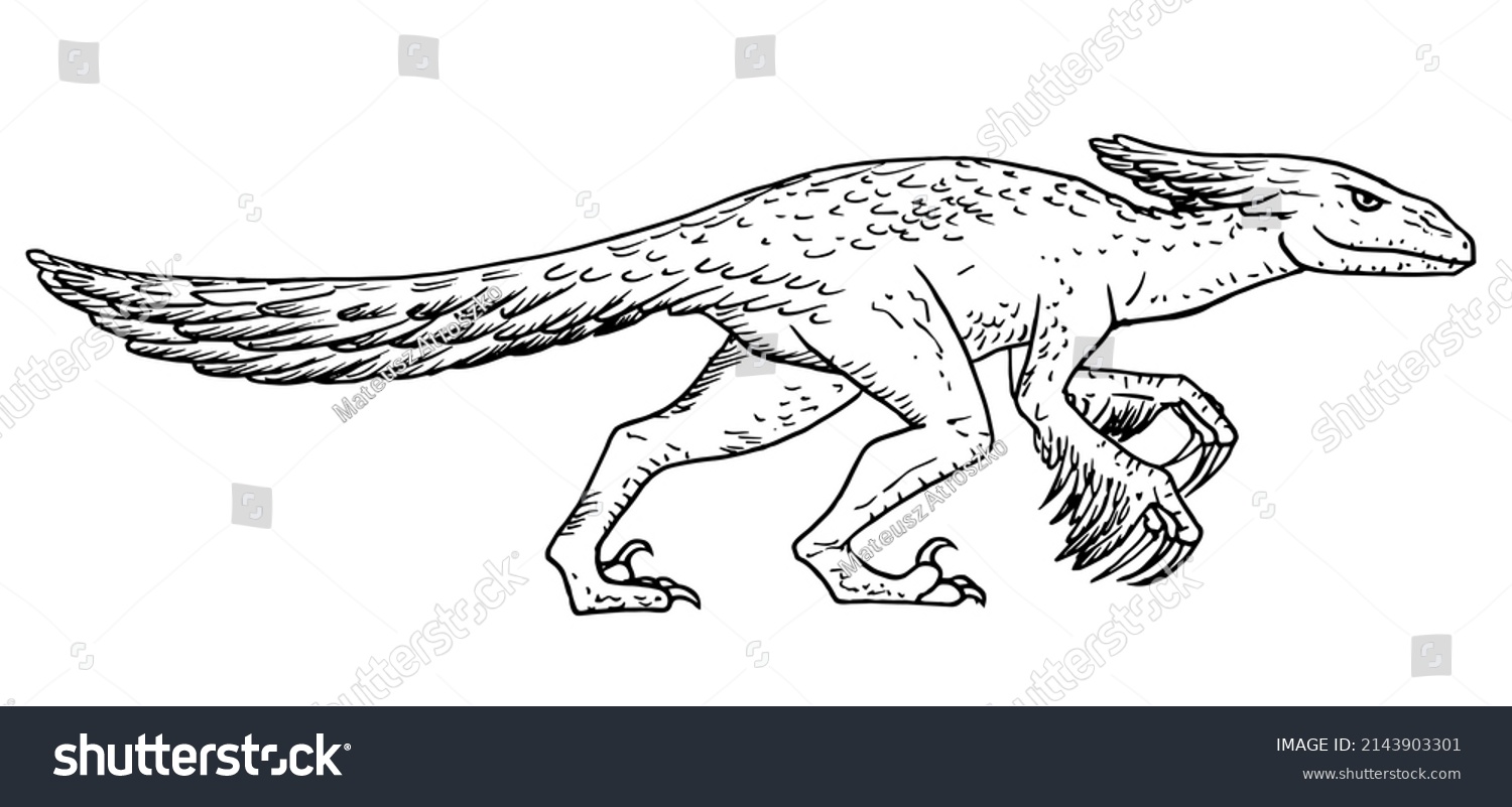 Stock vektor „Pyroraptor Dinosaur Vector Stock Illustration“ (bez ...