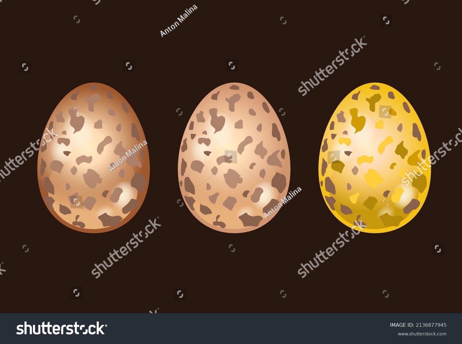 Quail Eggs Vector Realistic Illustration Stock Vector (Royalty Free ...