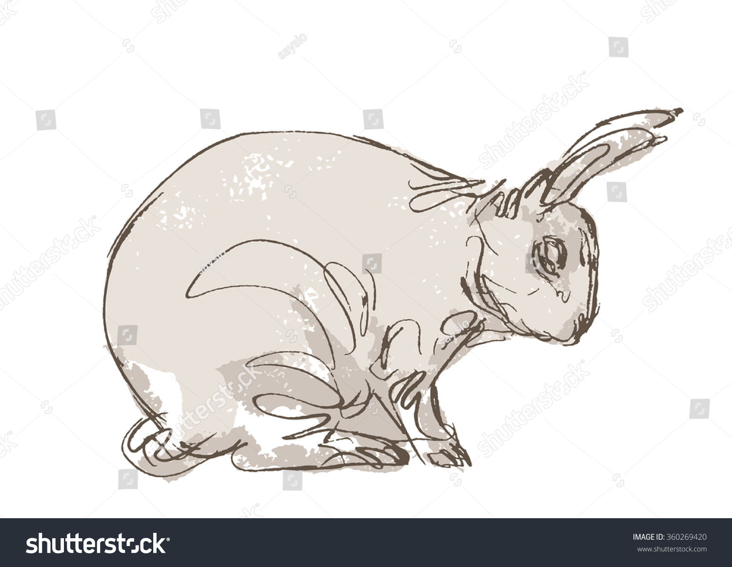 Rabbit Hand Draw Sketch Vector Stock Vector (Royalty Free) 360269420 ...