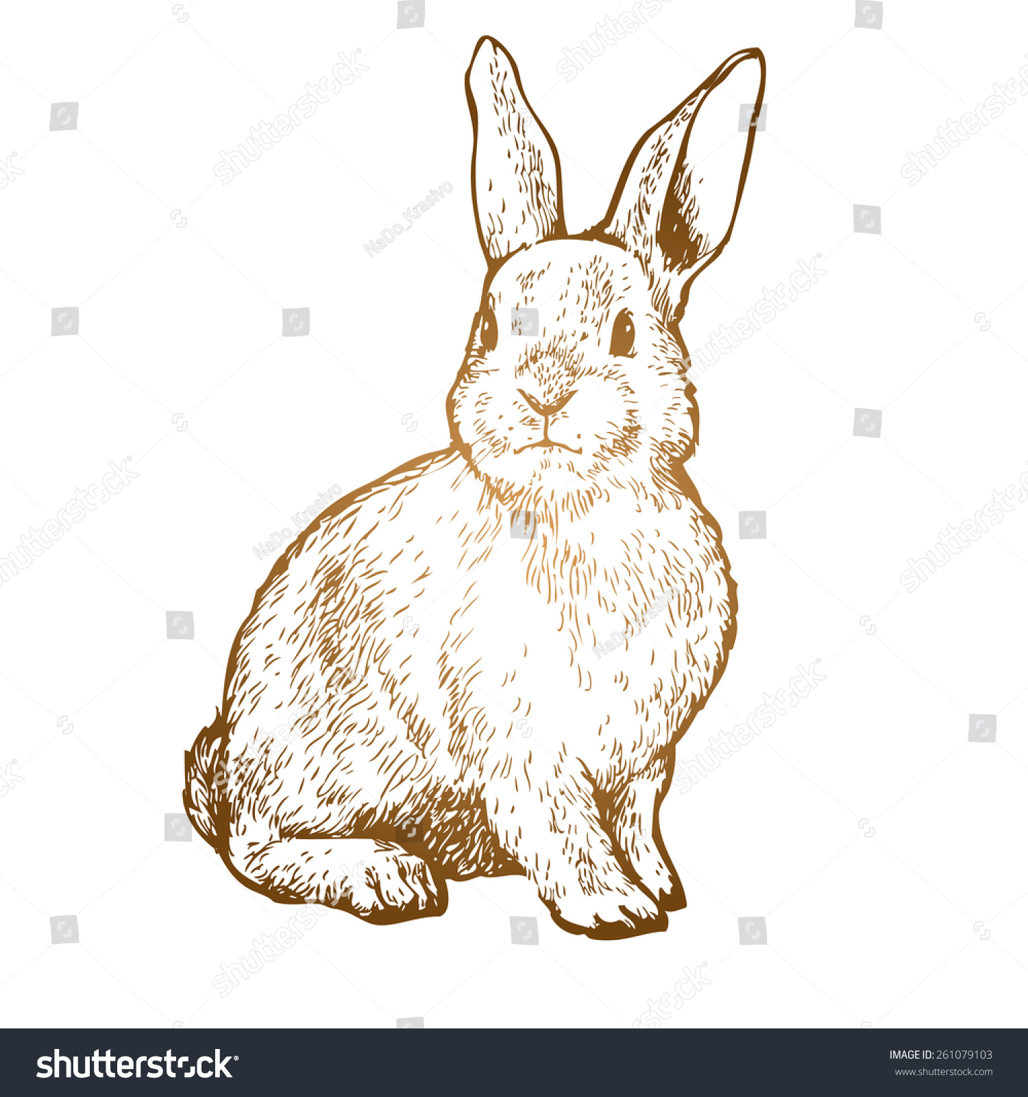 ilustración vectorial de esbozo de conejo: vector de stock (libre de ...