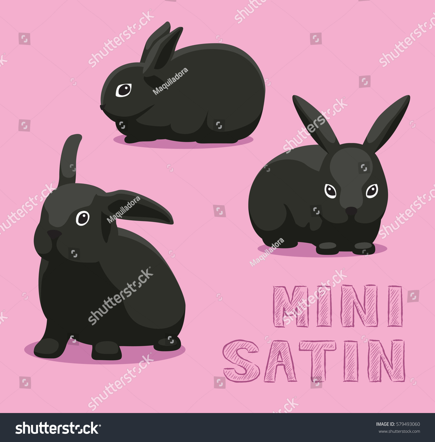 Rabbit Mini Satin Cartoon Vector Illustration Stock Vector (Royalty ...