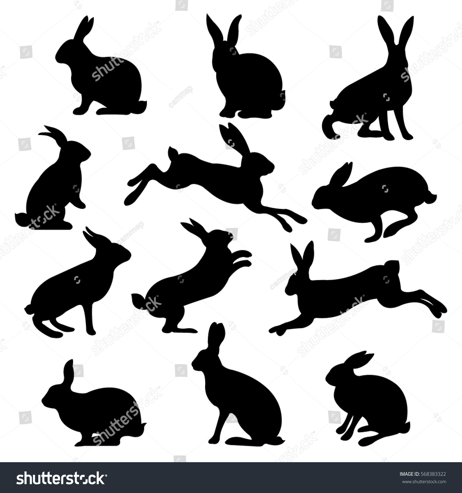 13,647 imágenes de Shadow rabbit - Imágenes, fotos y vectores de stock ...