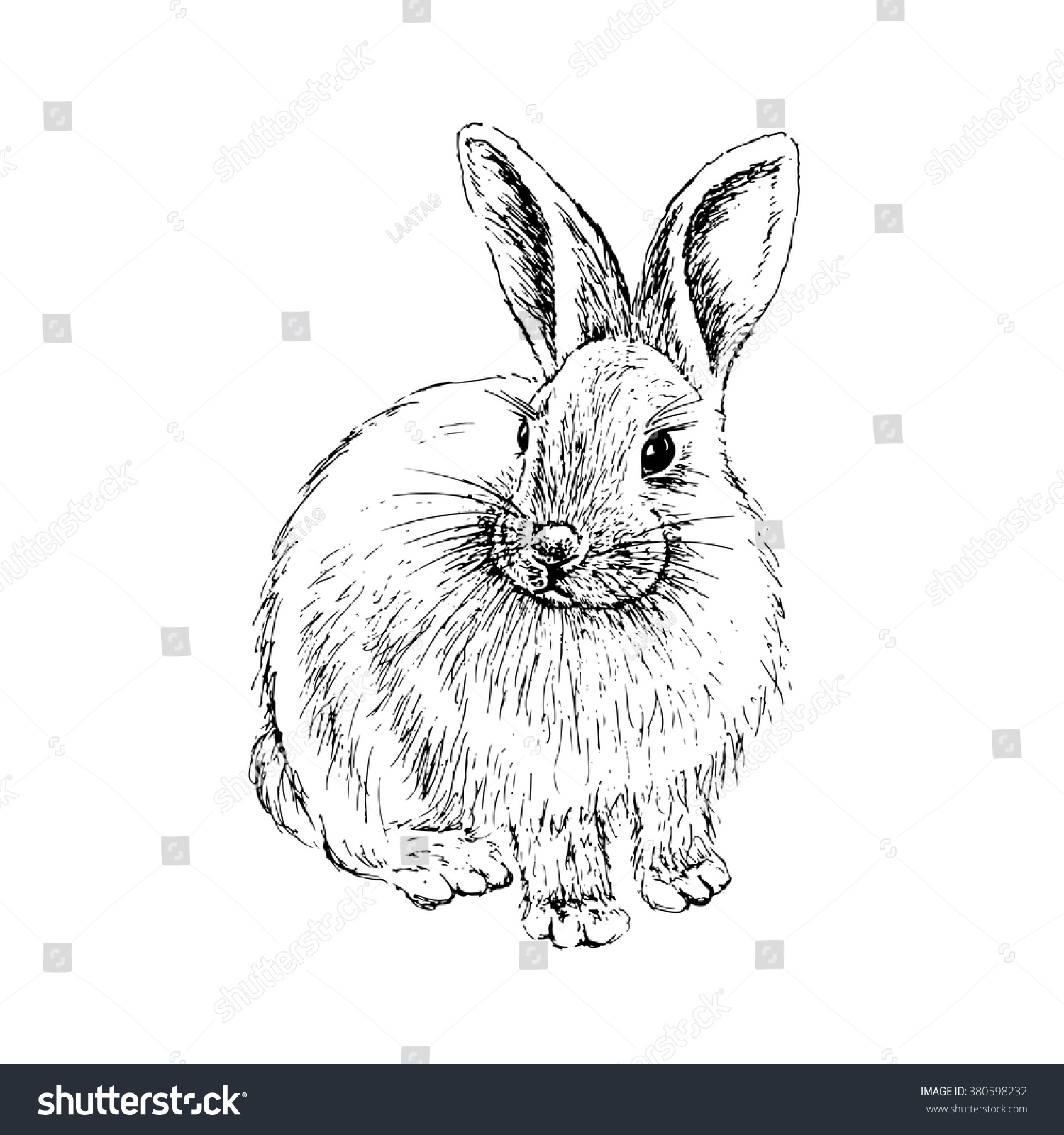 Rabbit Sketch Hand Drawn Vector Illustration Stock Vector (Royalty Free ...