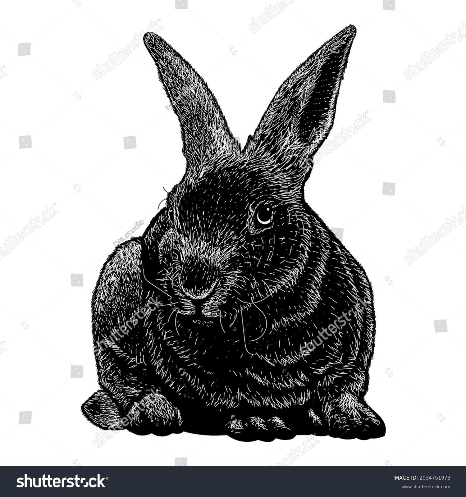 Rabbit Vector Drawing Illustration Vector Isolated Stock Vector ...