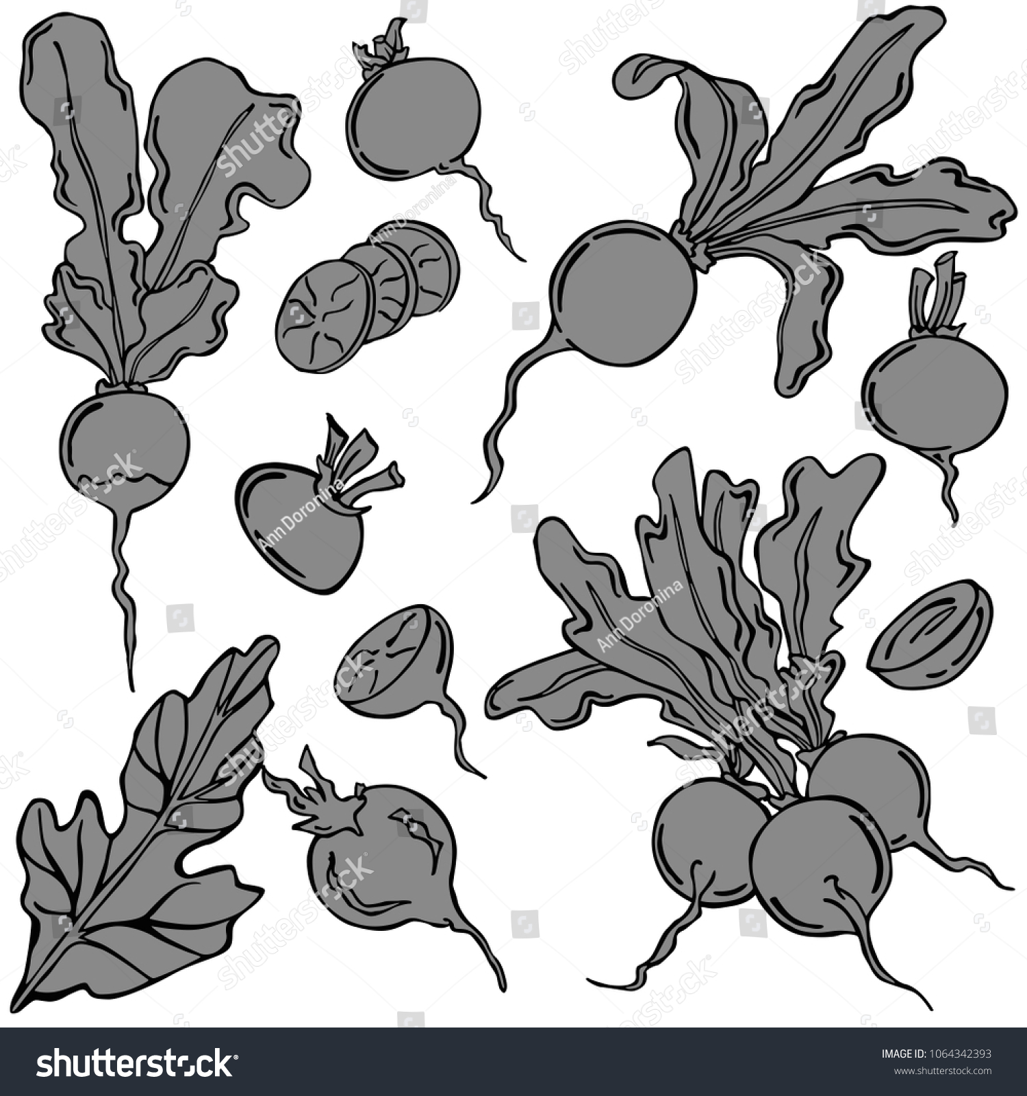 Radish Black Line Background Vector Stock Vector (Royalty Free ...
