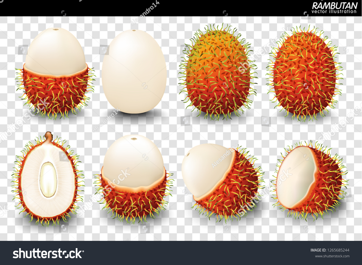Rambutan Fruit Vector Realistic Style Isolated Stock Vector (Royalty ...
