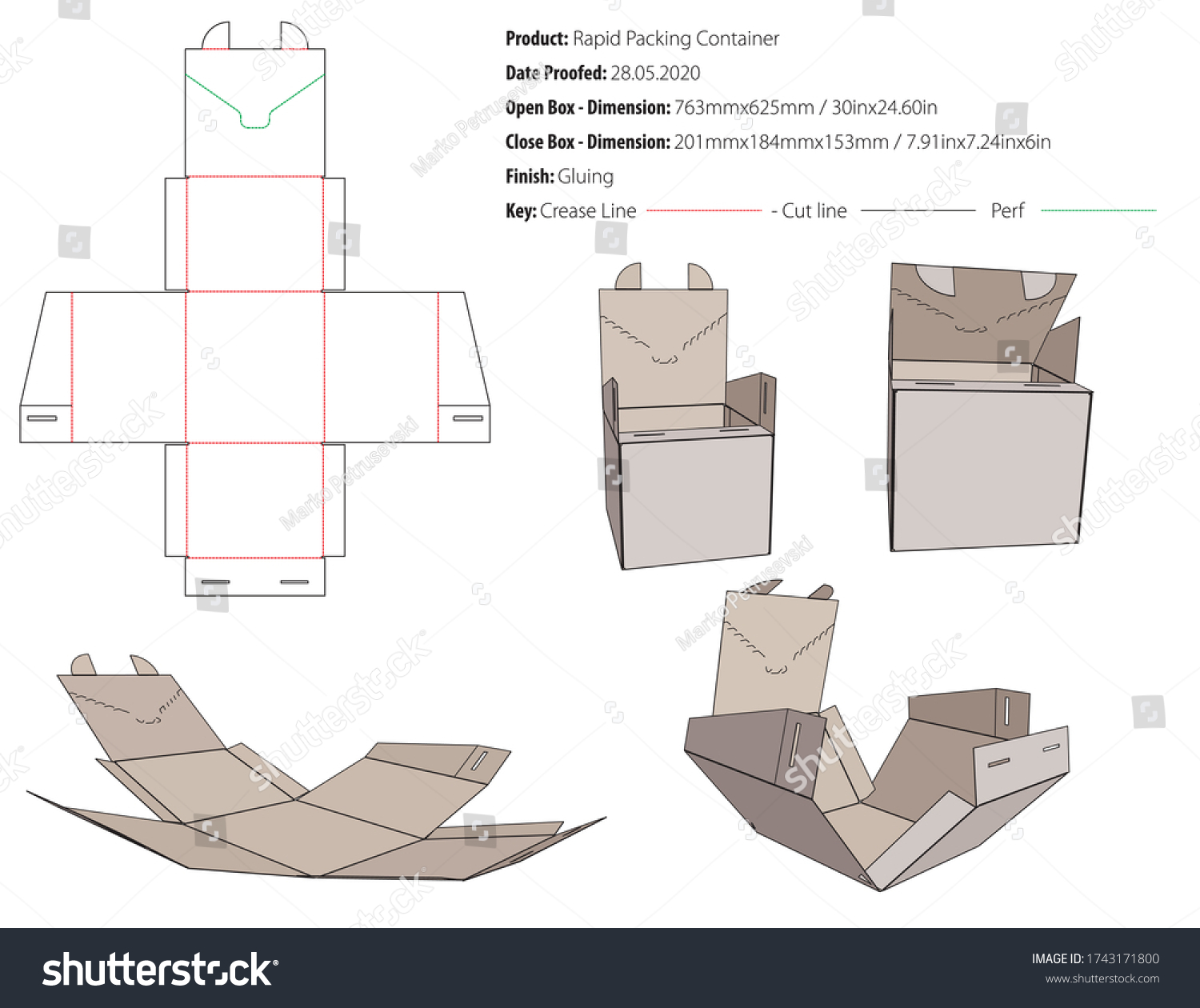 Rapid Packing Container Packaging Design Template Stock Vector (Royalty ...