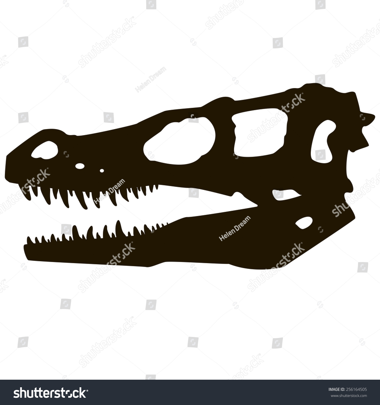 365 imágenes de Velociraptor skull - Imágenes, fotos y vectores de ...