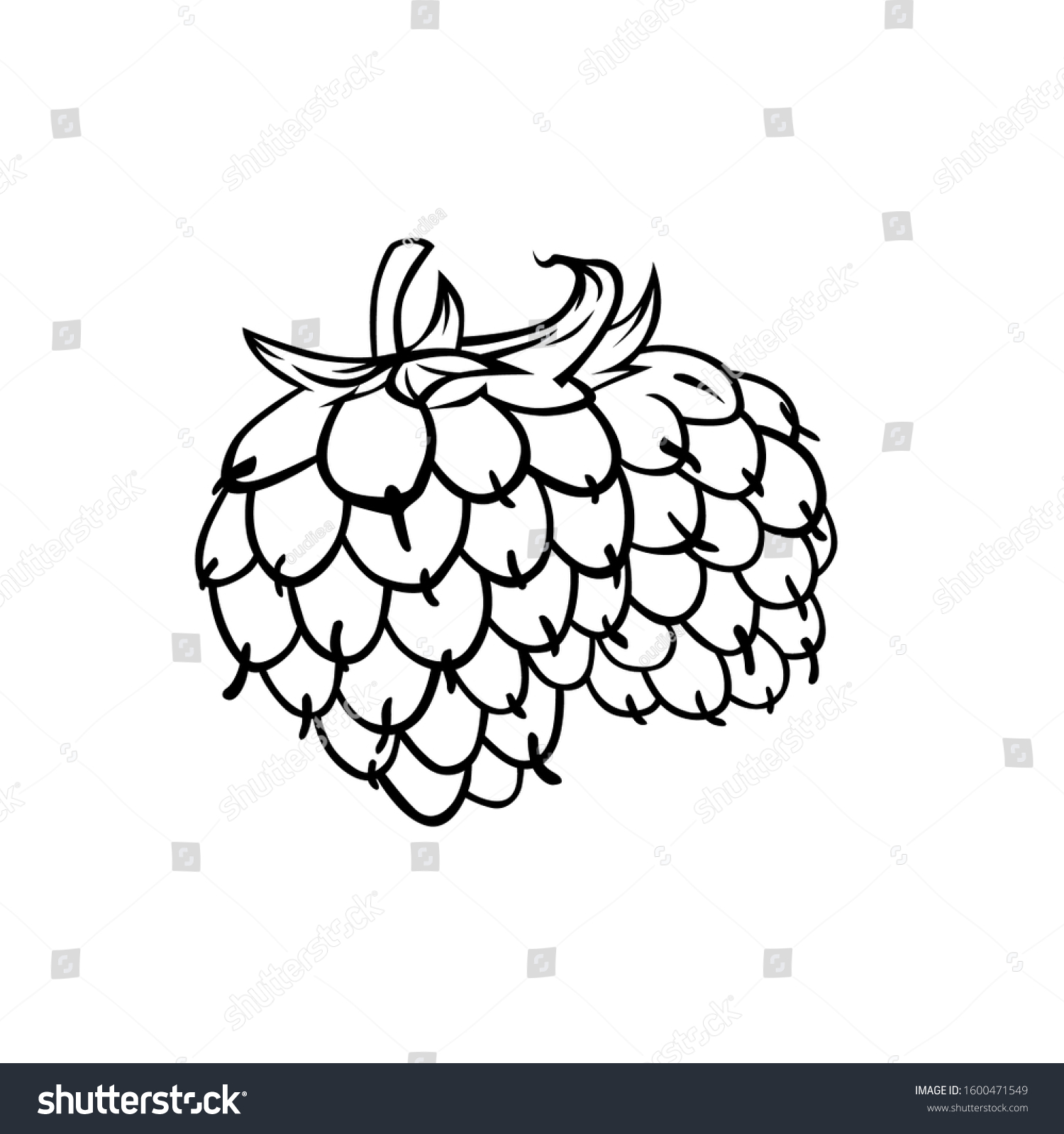 Raspberry Black White Vector All Purpose: vector de stock (libre de ...