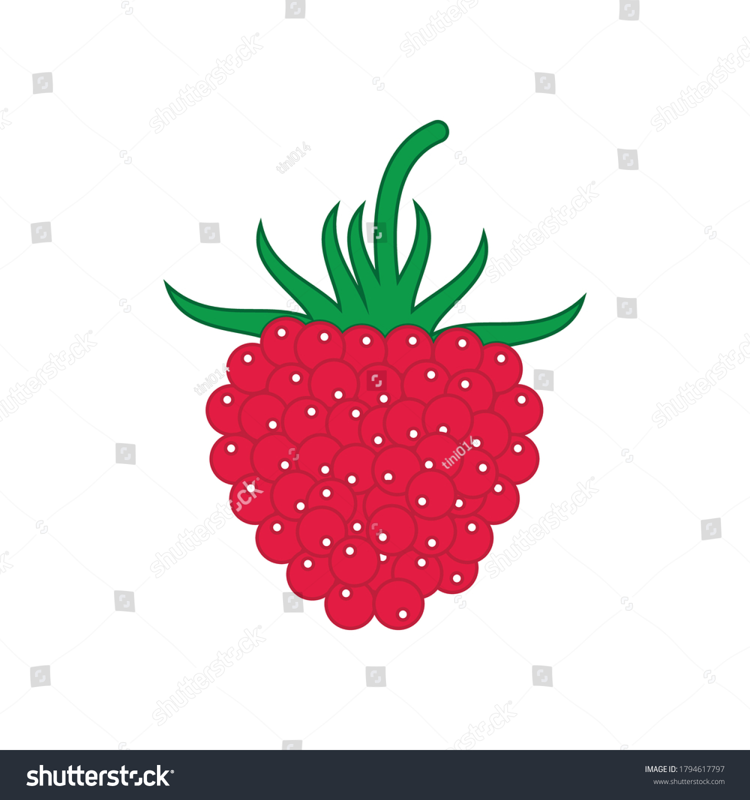 Raspberry Fruit Icon Vector Symbol Isolated Stock Vector (Royalty Free ...